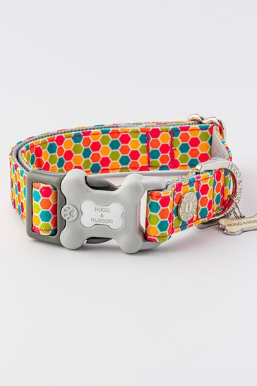 Buy dog collars online store