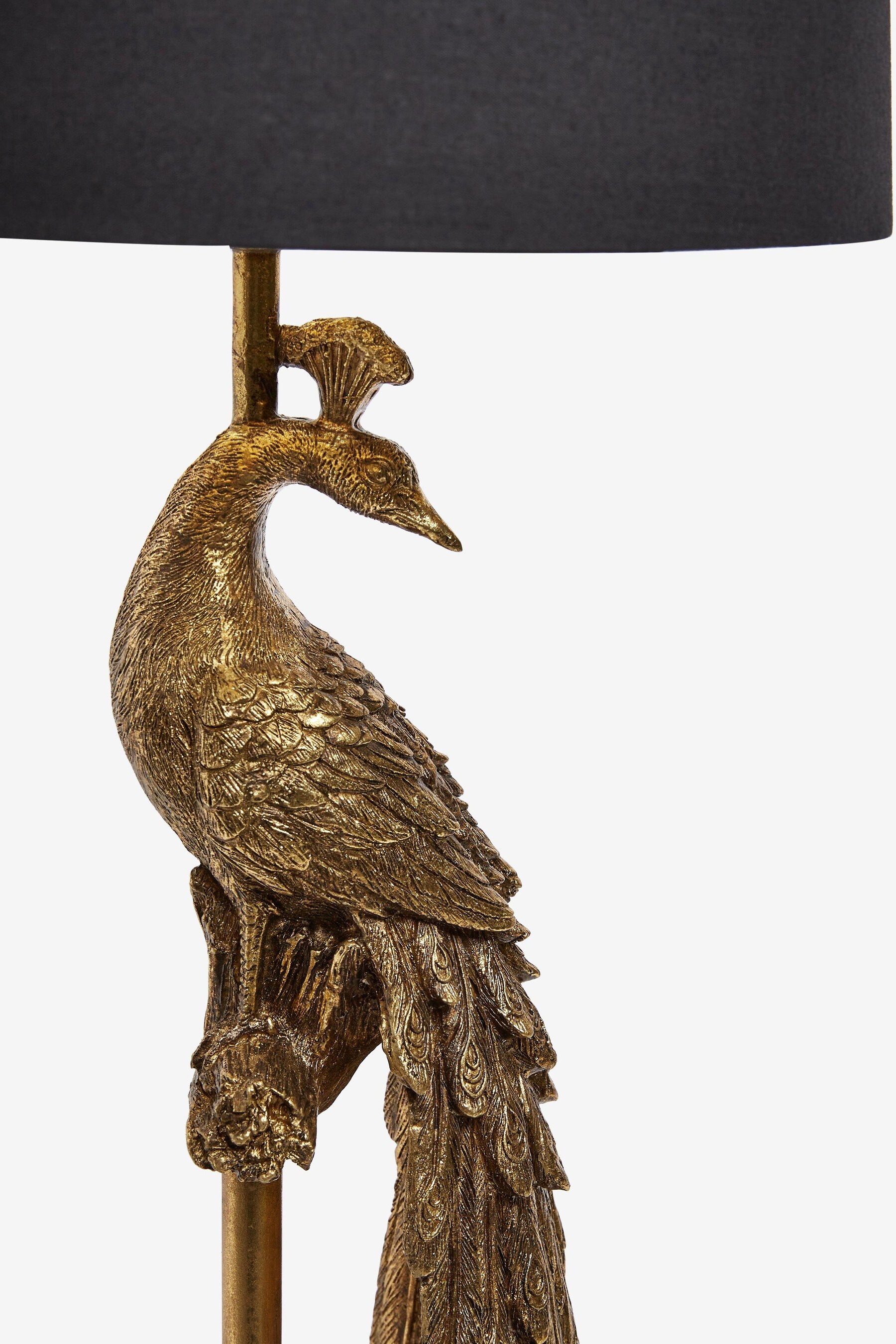 Buy Peacock Table Lamp from the Next UK online shop