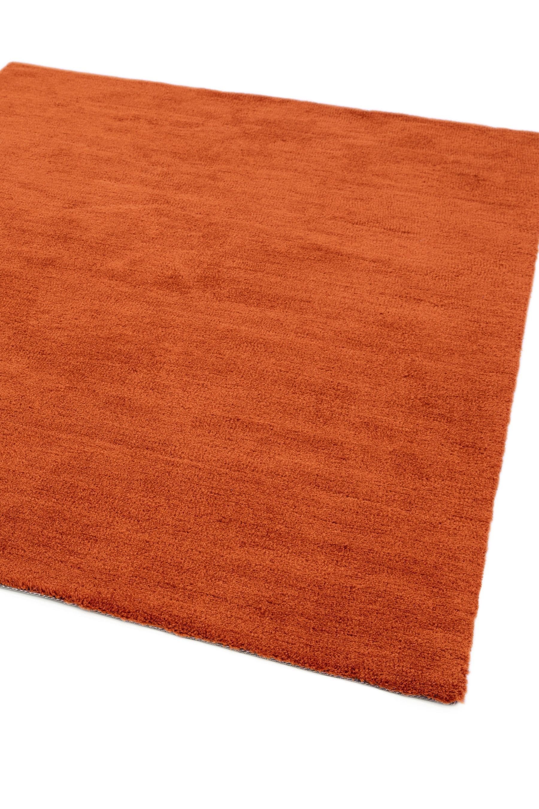 Buy Asiatic Rugs Rust Brown Milo Soft Touch Lustre Rug from the Next UK ...