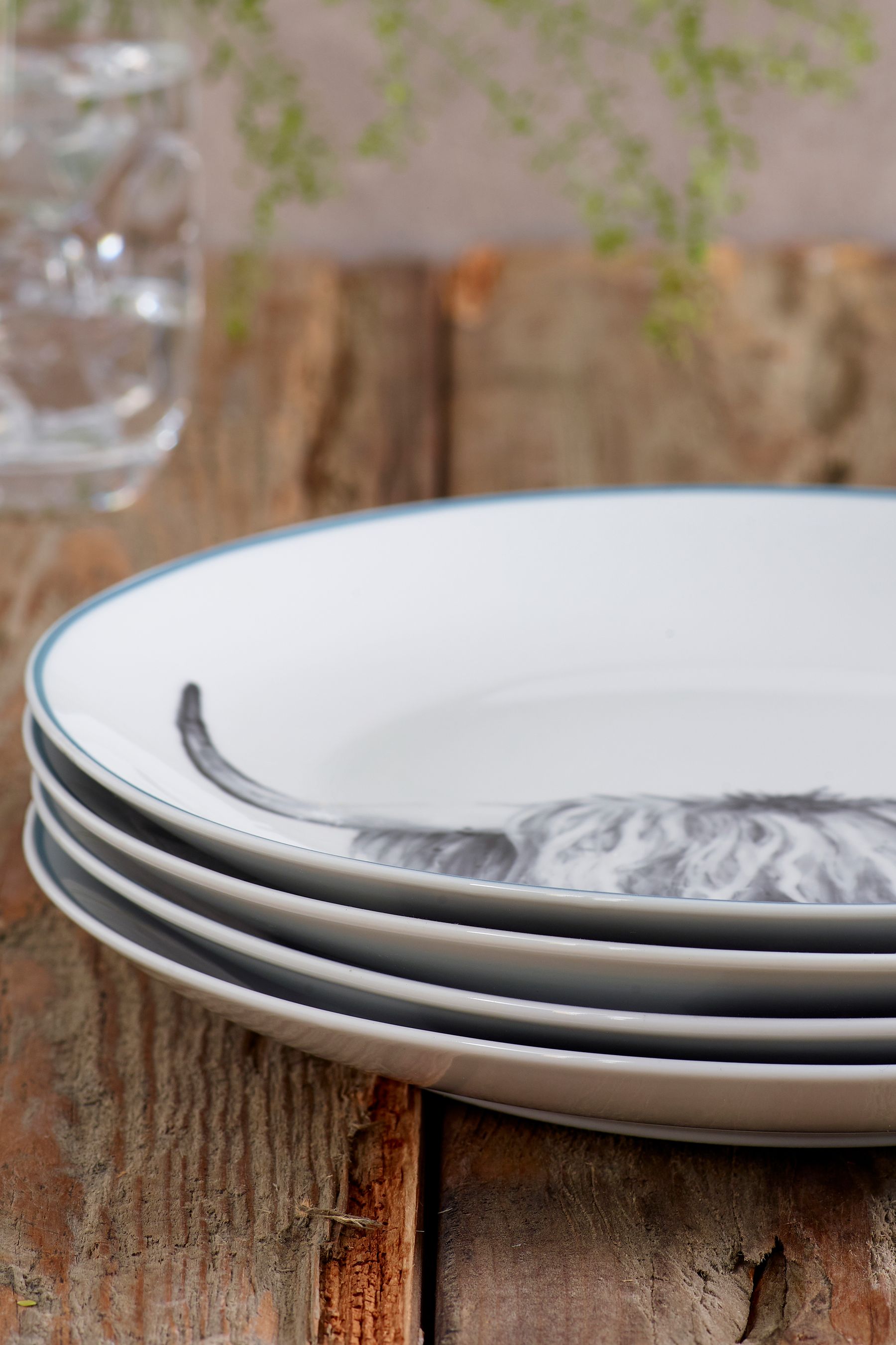 Buy Set of 4 Grey Hamish Dinner Plates from the Next UK online shop