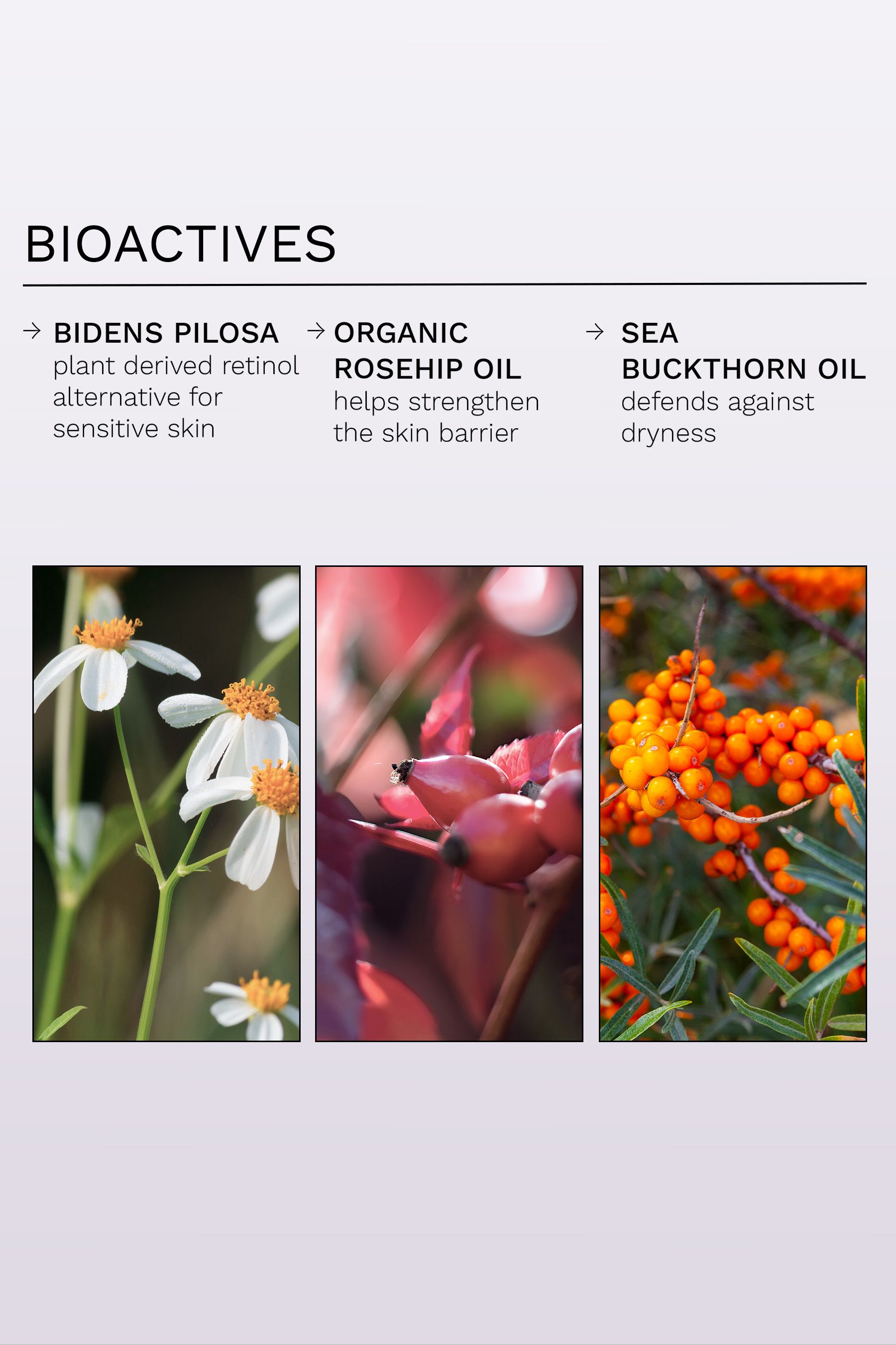 Buy REN Bio Retinoid™ Youth Cream 50ml from the Next UK online shop