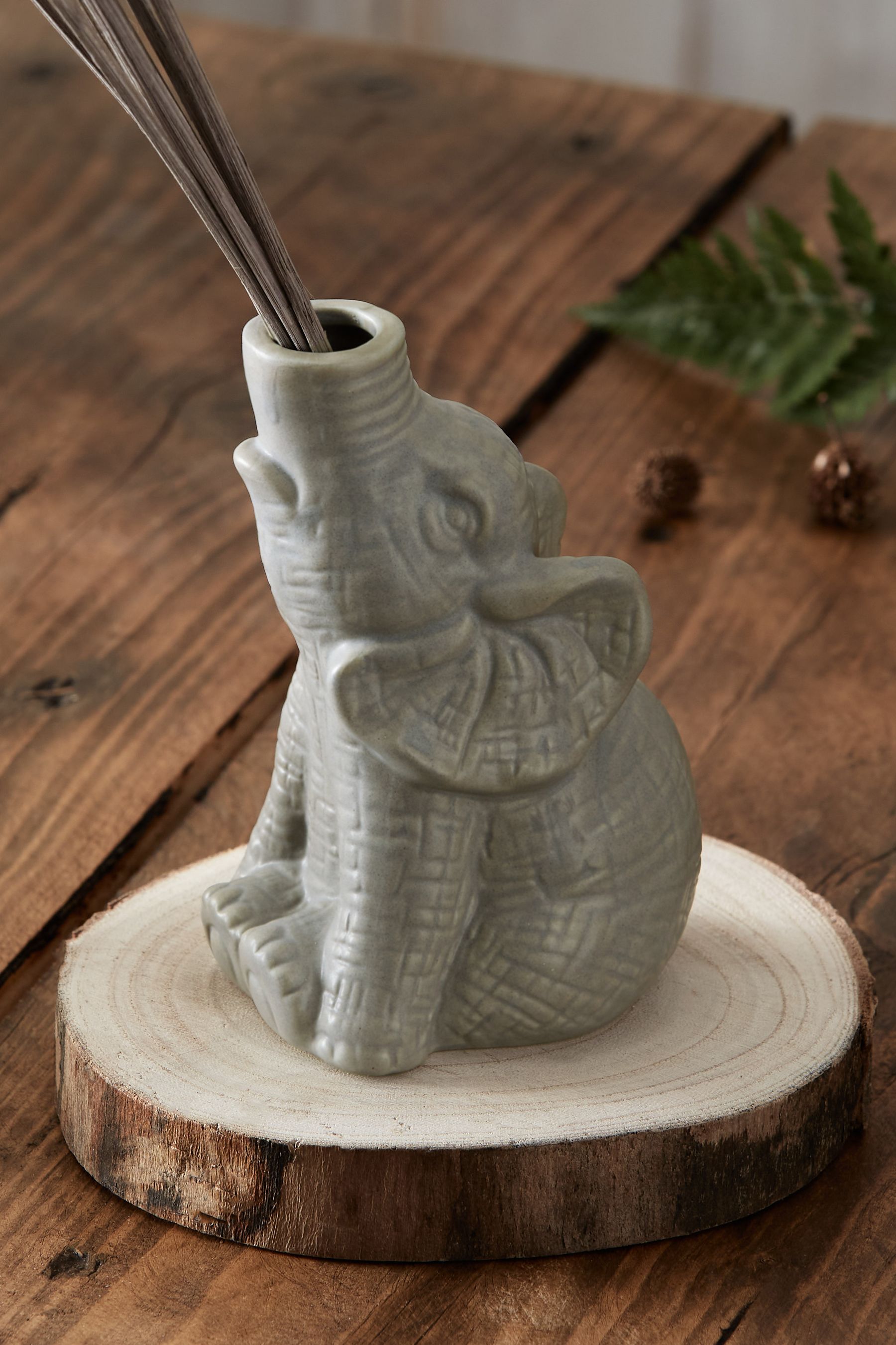 Buy Elsa Elephant Desert Sands Fragranced Reed 100ml Diffuser from the ...
