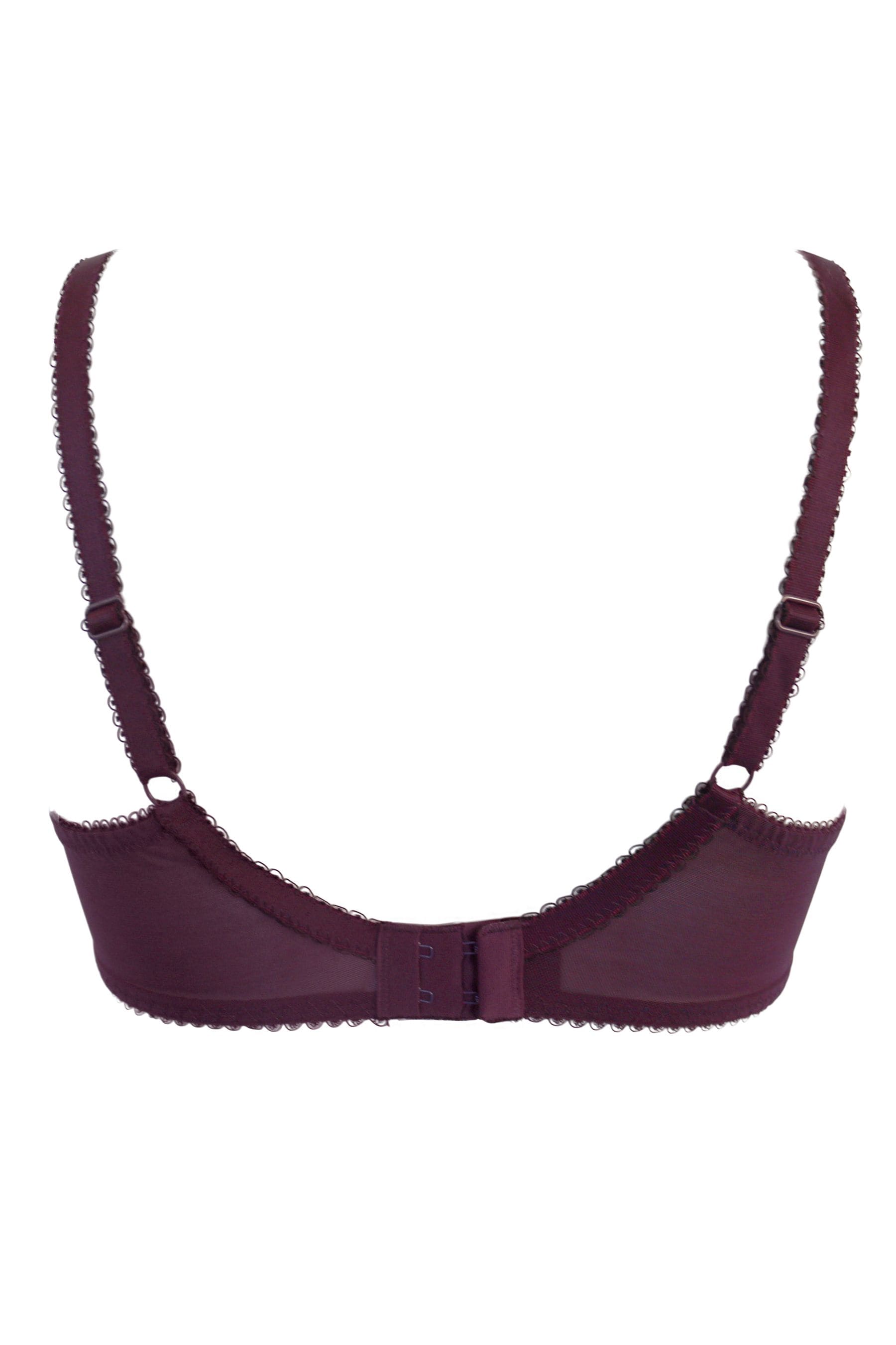 Buy Pour Moi Lingerie Flora Lightly Padded Underwired Bra from the Next ...