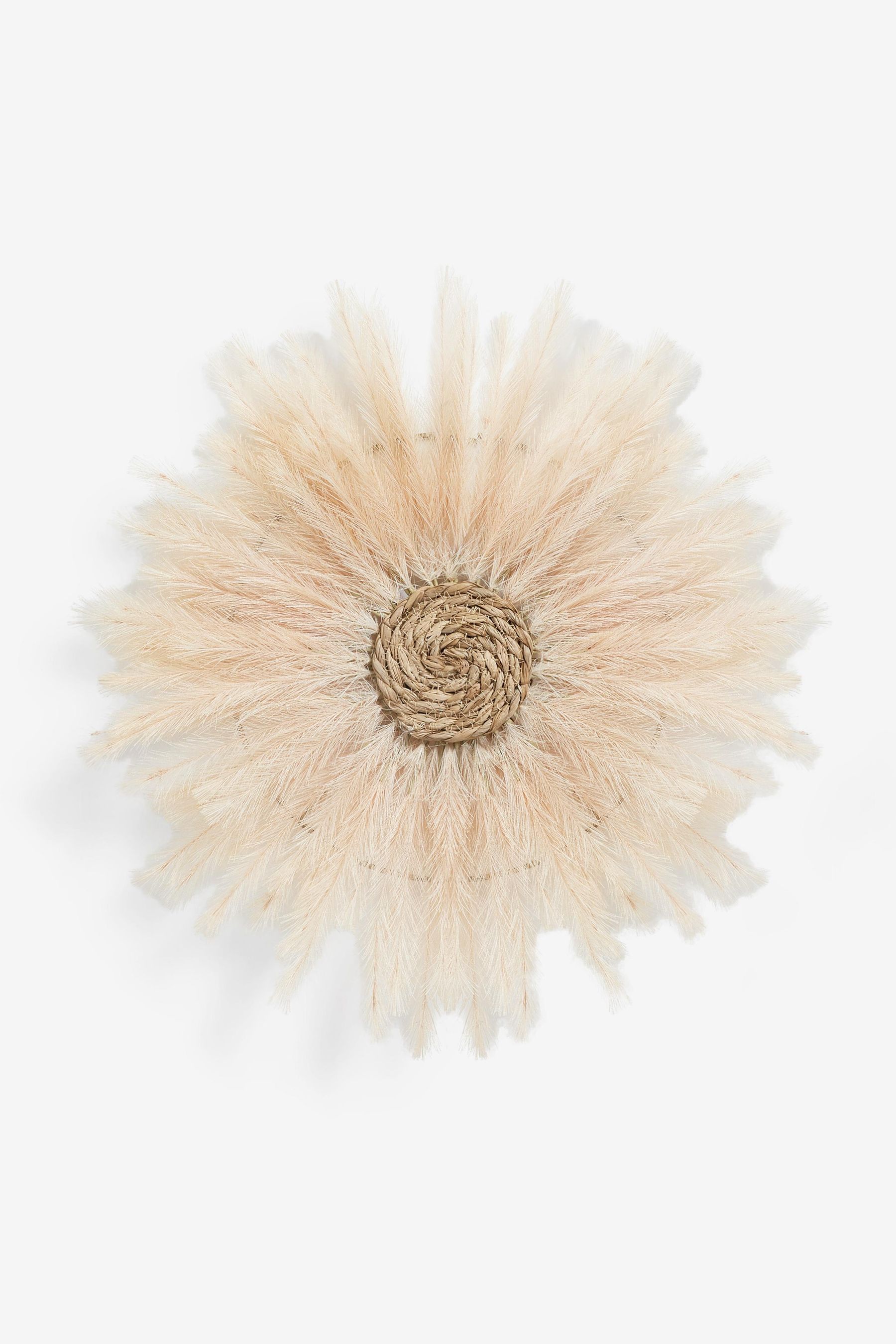 Buy Natural Pampas Grass Wheel Wall Art from the Next UK online shop
