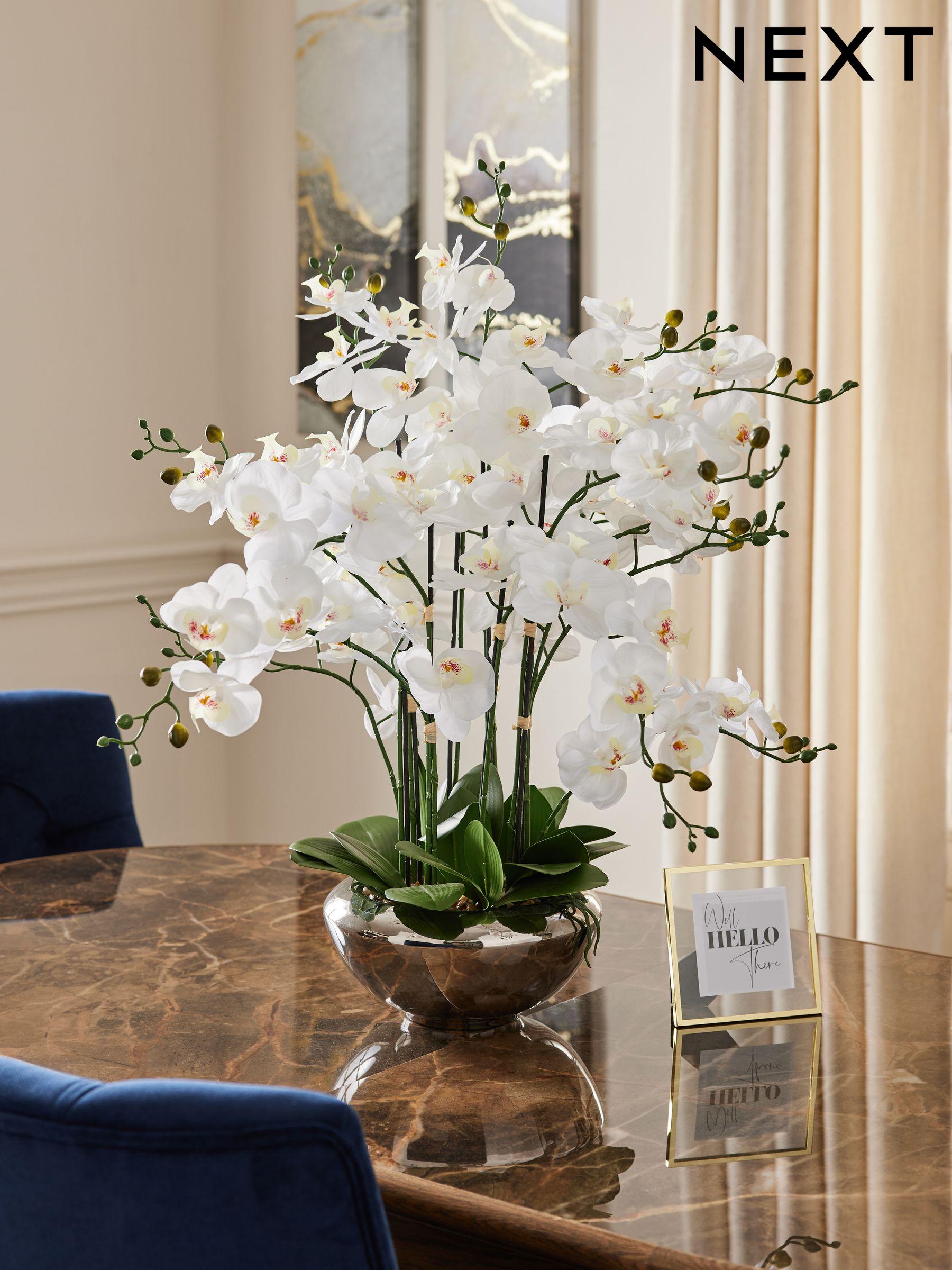 Artificial Flowers and Plants Next UK