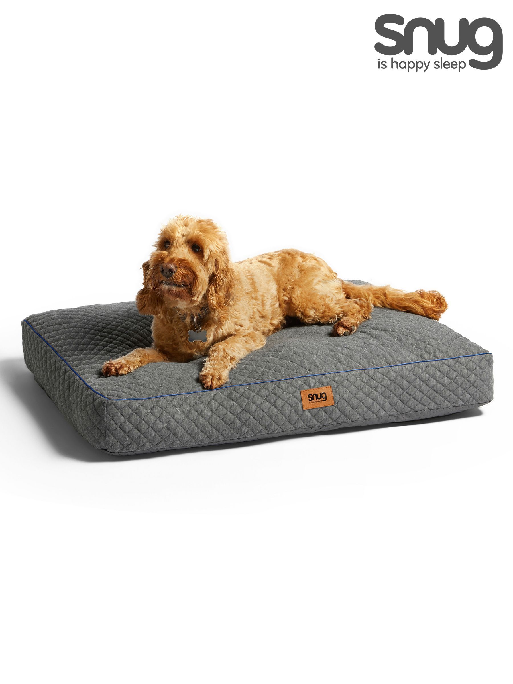Pet Beds Dog Cat Beds Next UK
