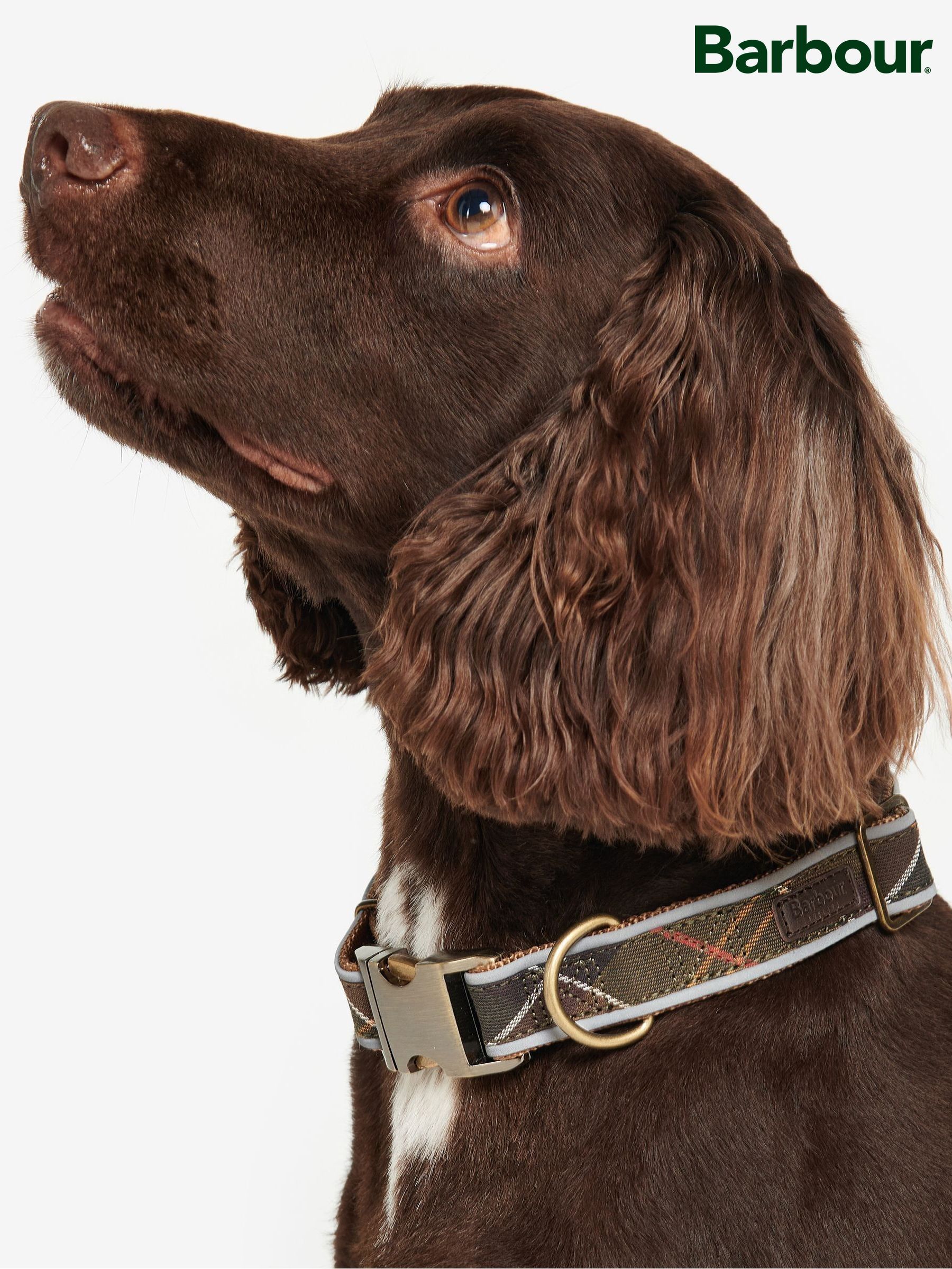 Boys Barbour Collars Harnesses Next Germany