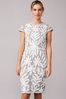Buy Phase Eight Blue Isobel Tapework Dress from the Next UK online shop