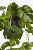 Buy Green Artificial Trailing Monstera Plant from the Next UK online shop