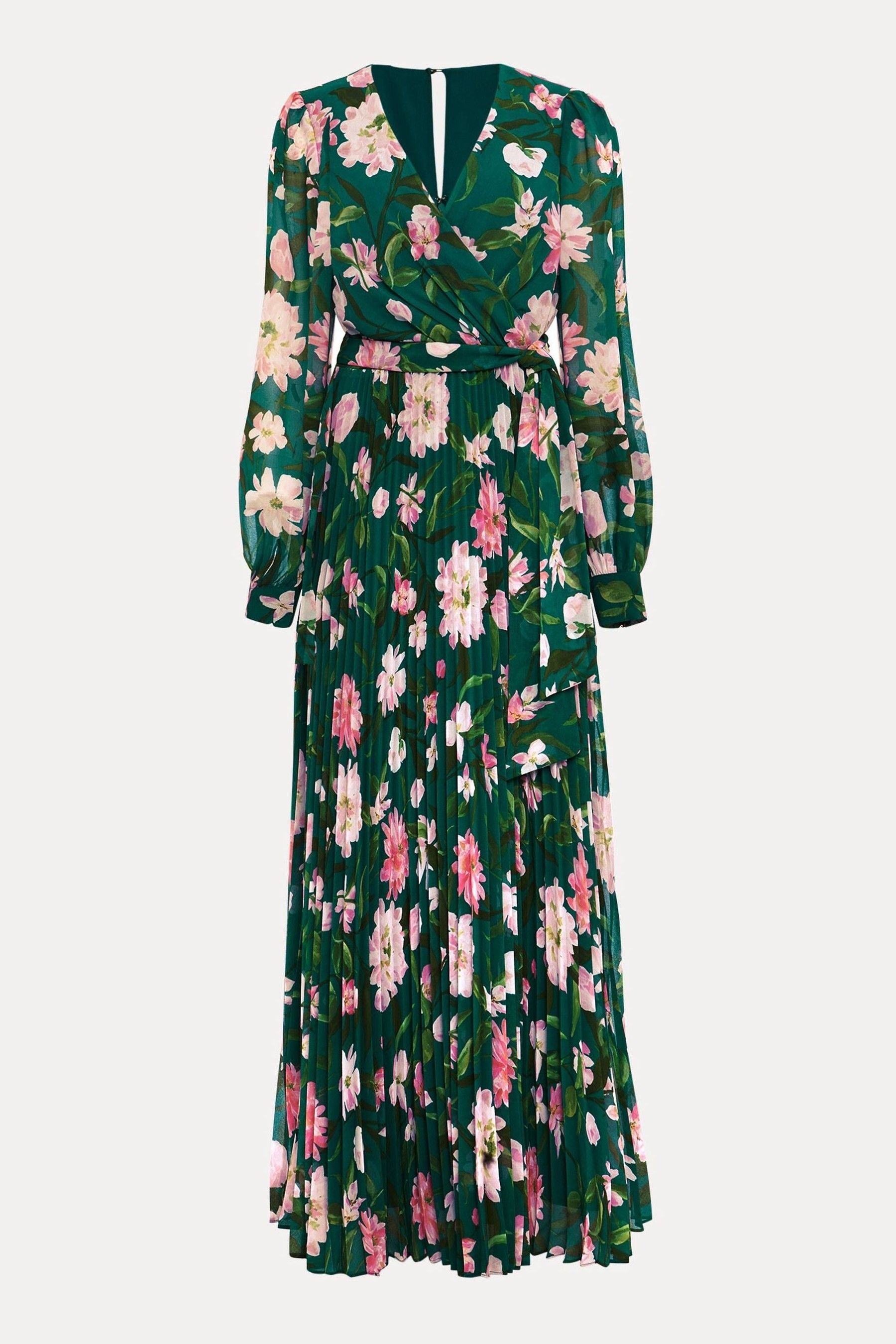 Buy Phase Eight Green Rosa Floral Pleat Maxi Dress from the Next UK ...