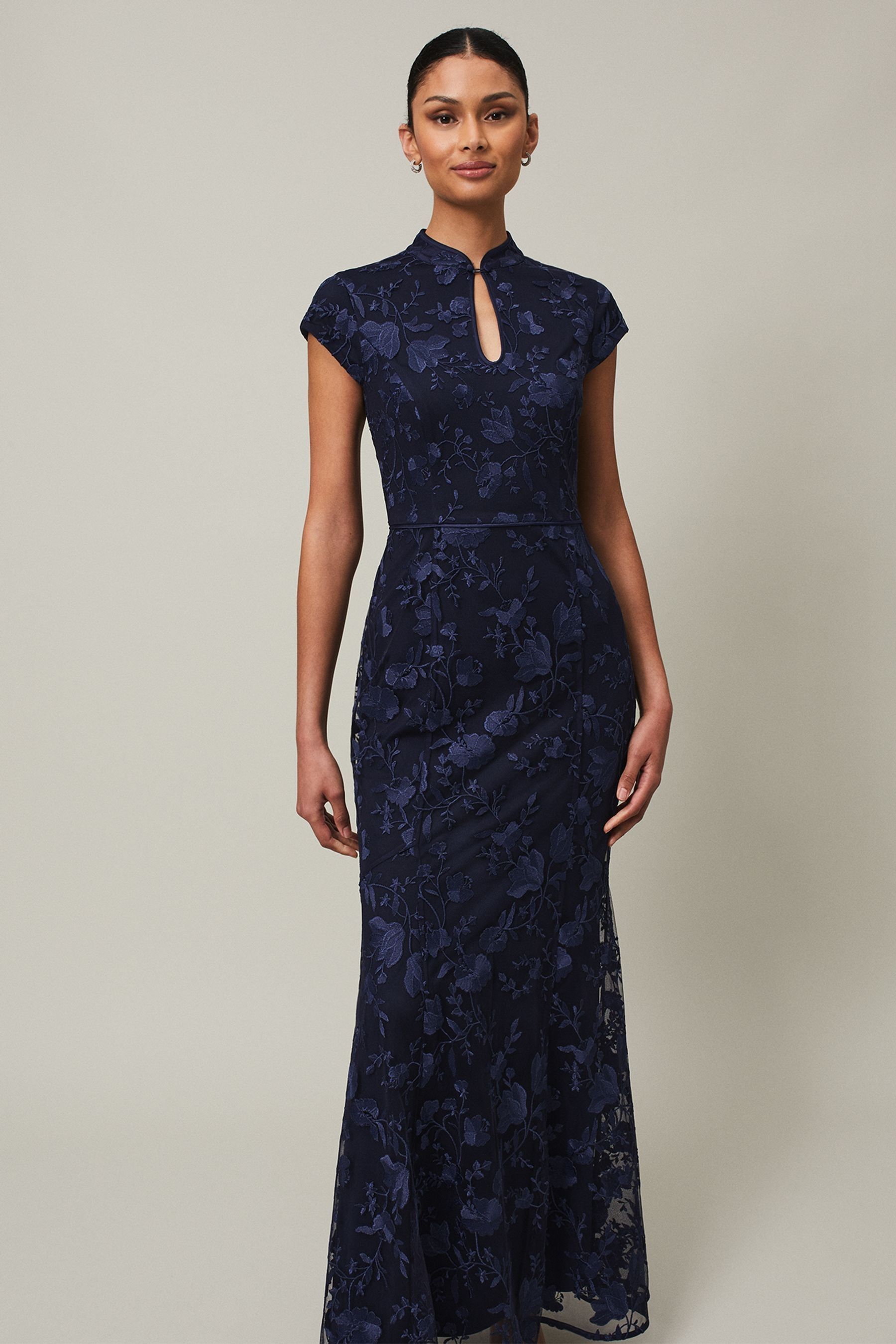 Buy Phase Eight Blue Sofia Embroidered Maxi Dress from the Next UK ...