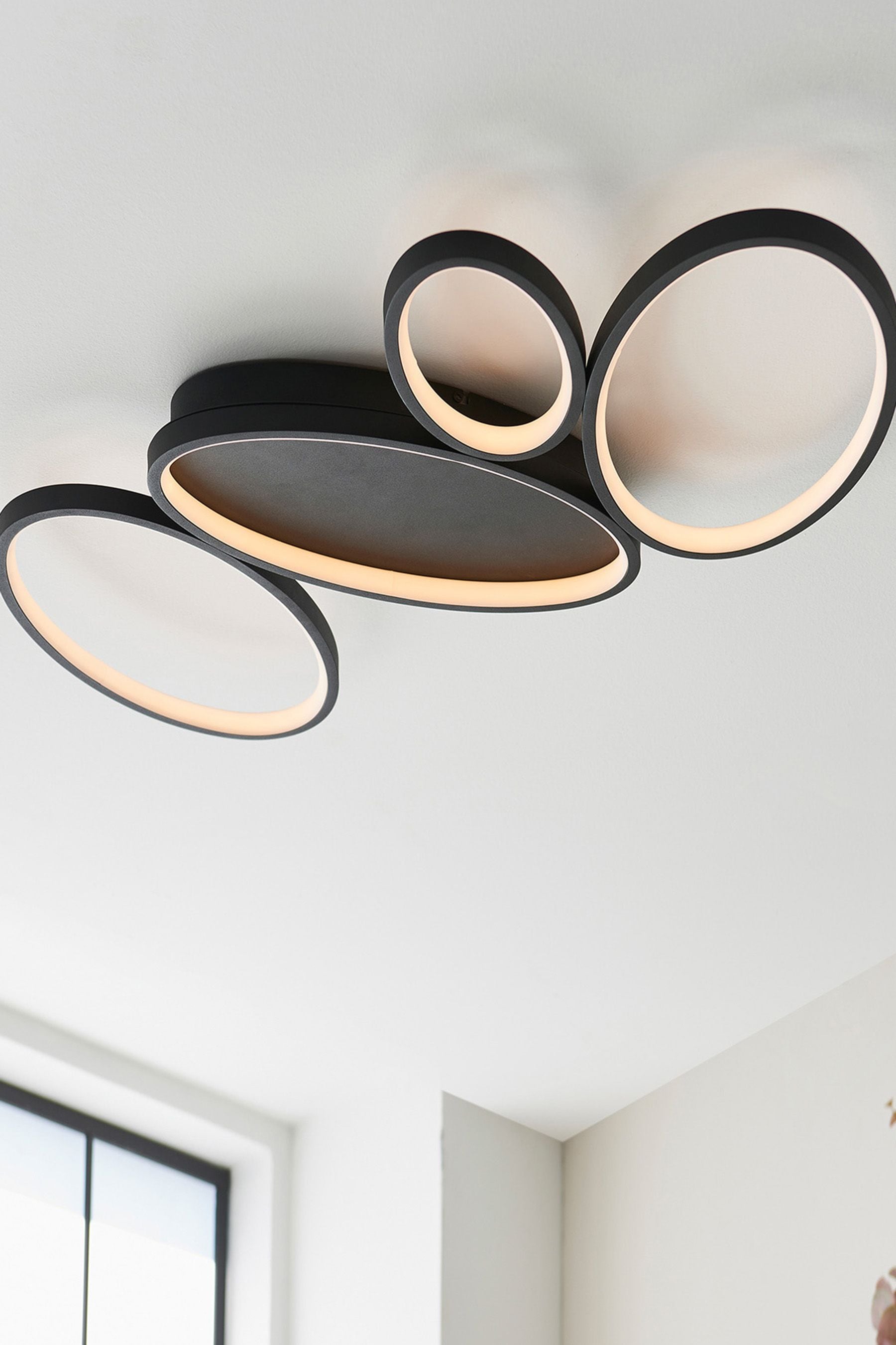 Buy Gallery Home Black Brantford 4 Bulb Ceiling Light from the Next UK ...