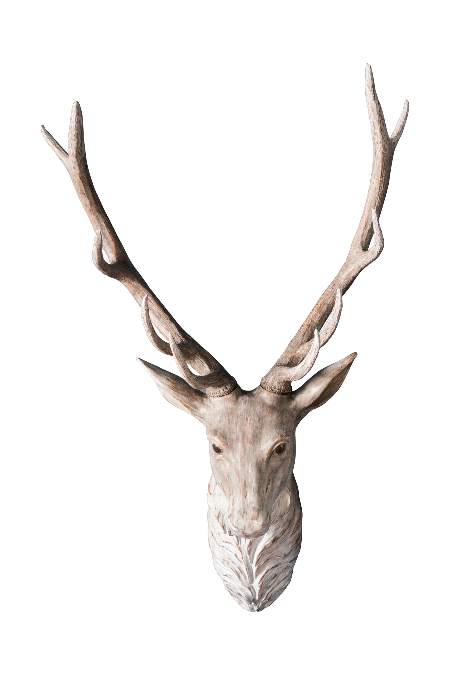 Buy Gallery Home Grey Archie Stag Head from the Next UK online shop