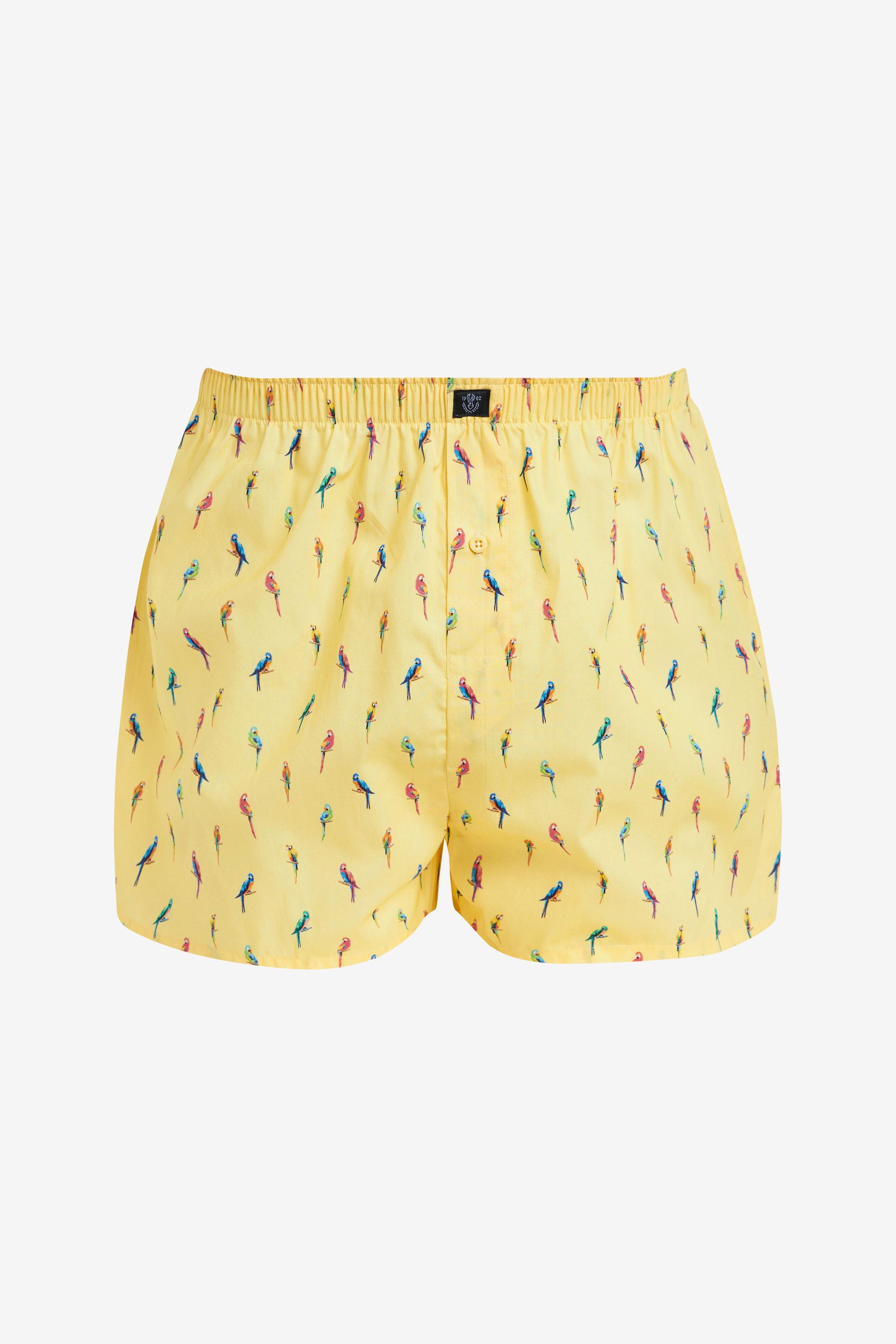 Buy Bright Parrot 4 pack Woven Pure Cotton Boxers from Next Saudi Arabia