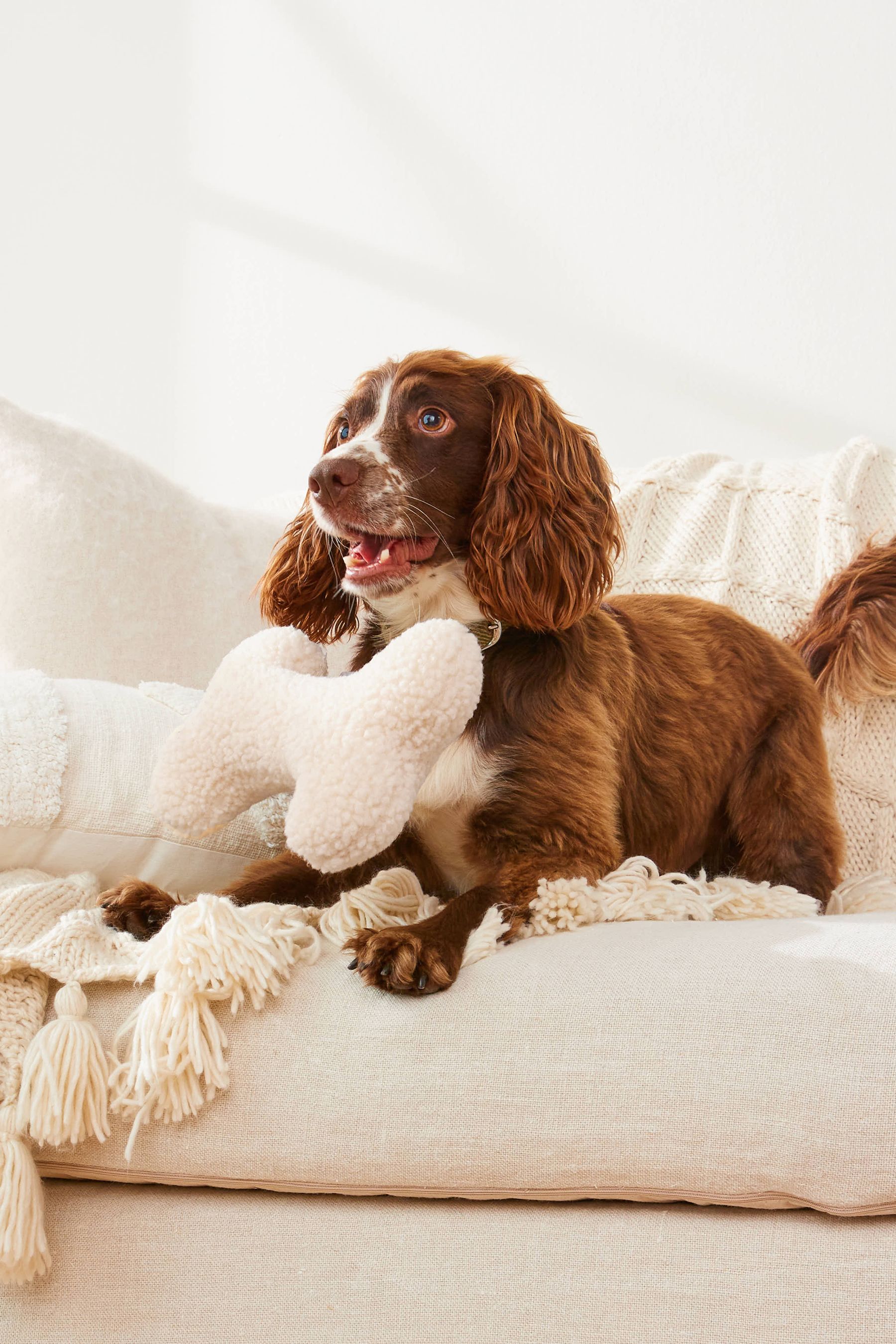 Buy Neutral from the Next UK online shop