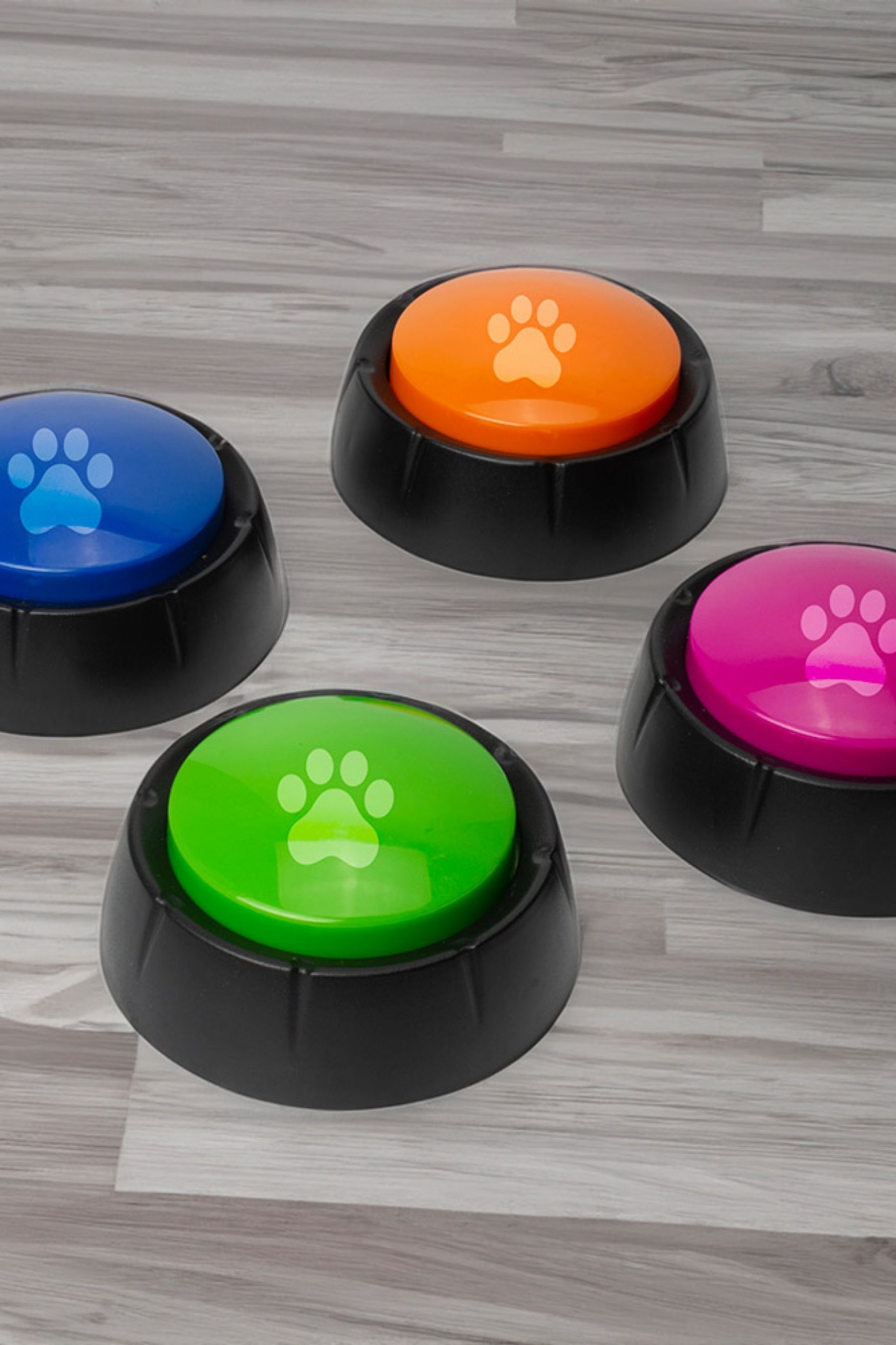 Buy MenKind Set of 4 Recordable Dog Buttons from the Next UK online shop