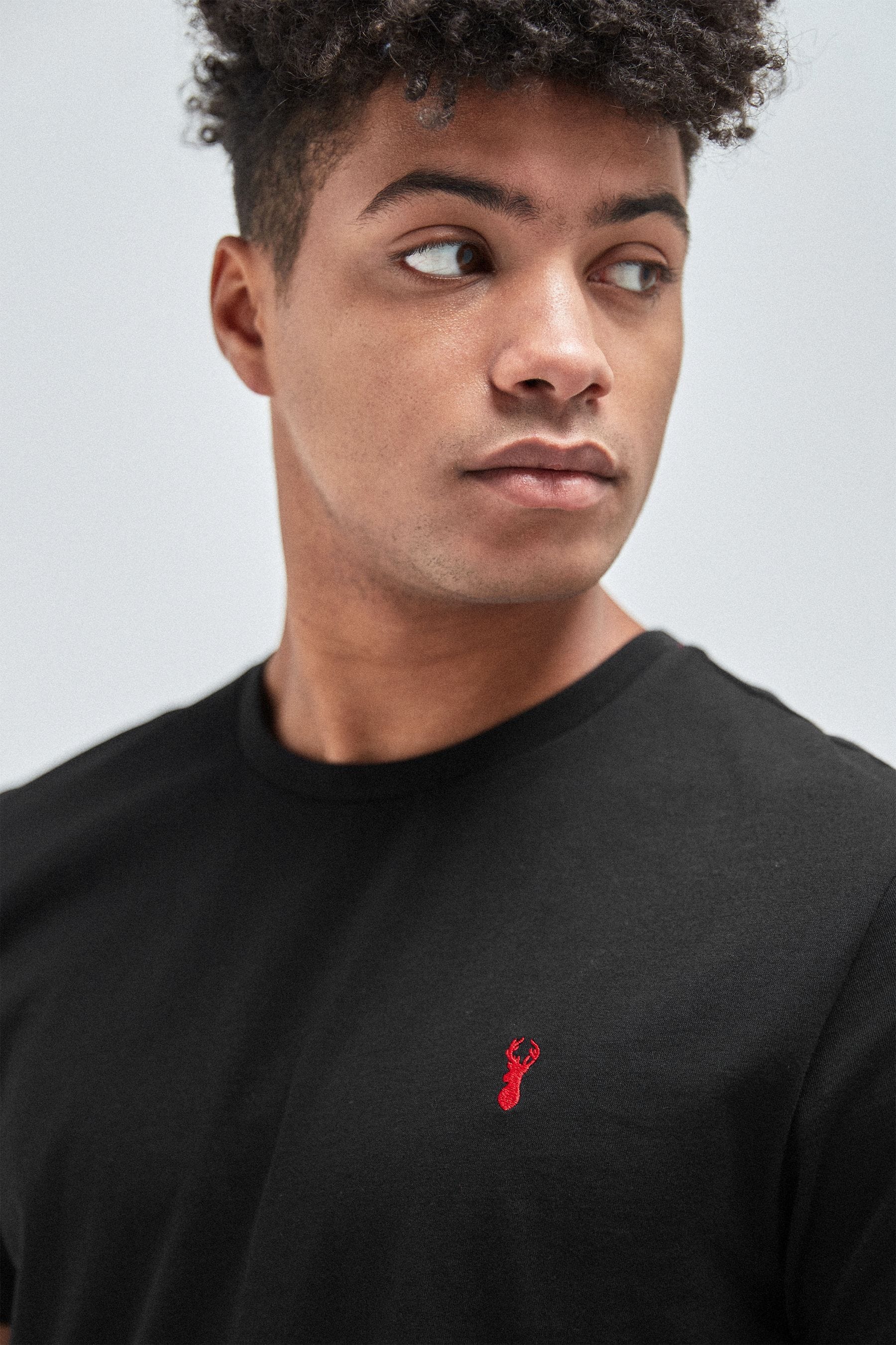 Buy Black Stag T-Shirt from the Next UK online shop