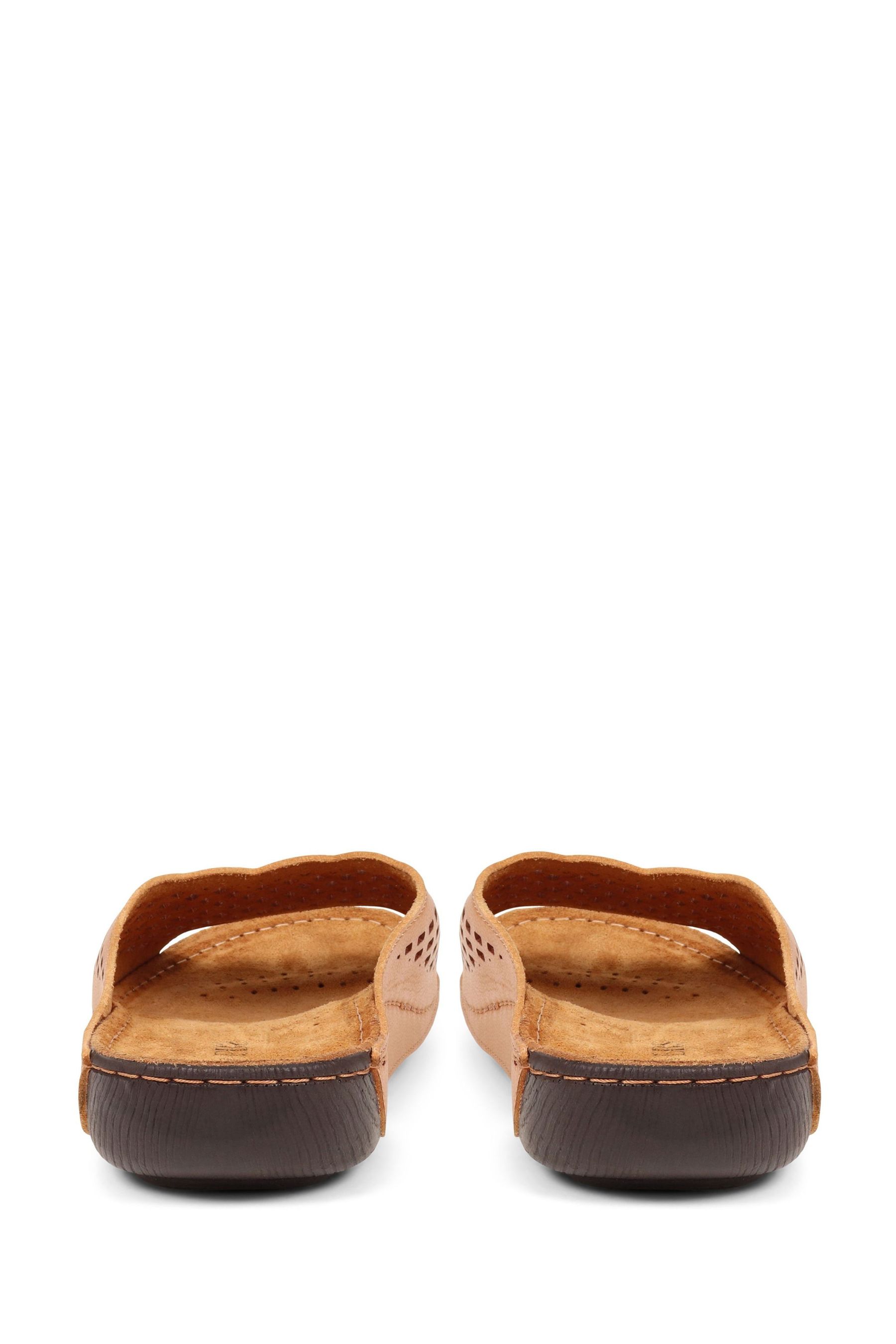 Buy Pavers Perforated Leather Brown Mule Sliders from the Next UK ...