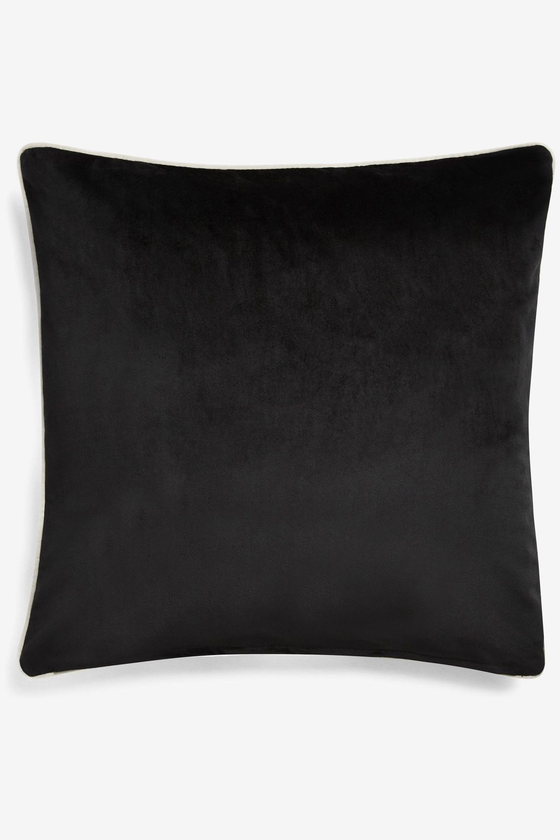 Buy Black 50 x 50cm Matte Velvet Contrast Pipe Cushion from the Next UK ...