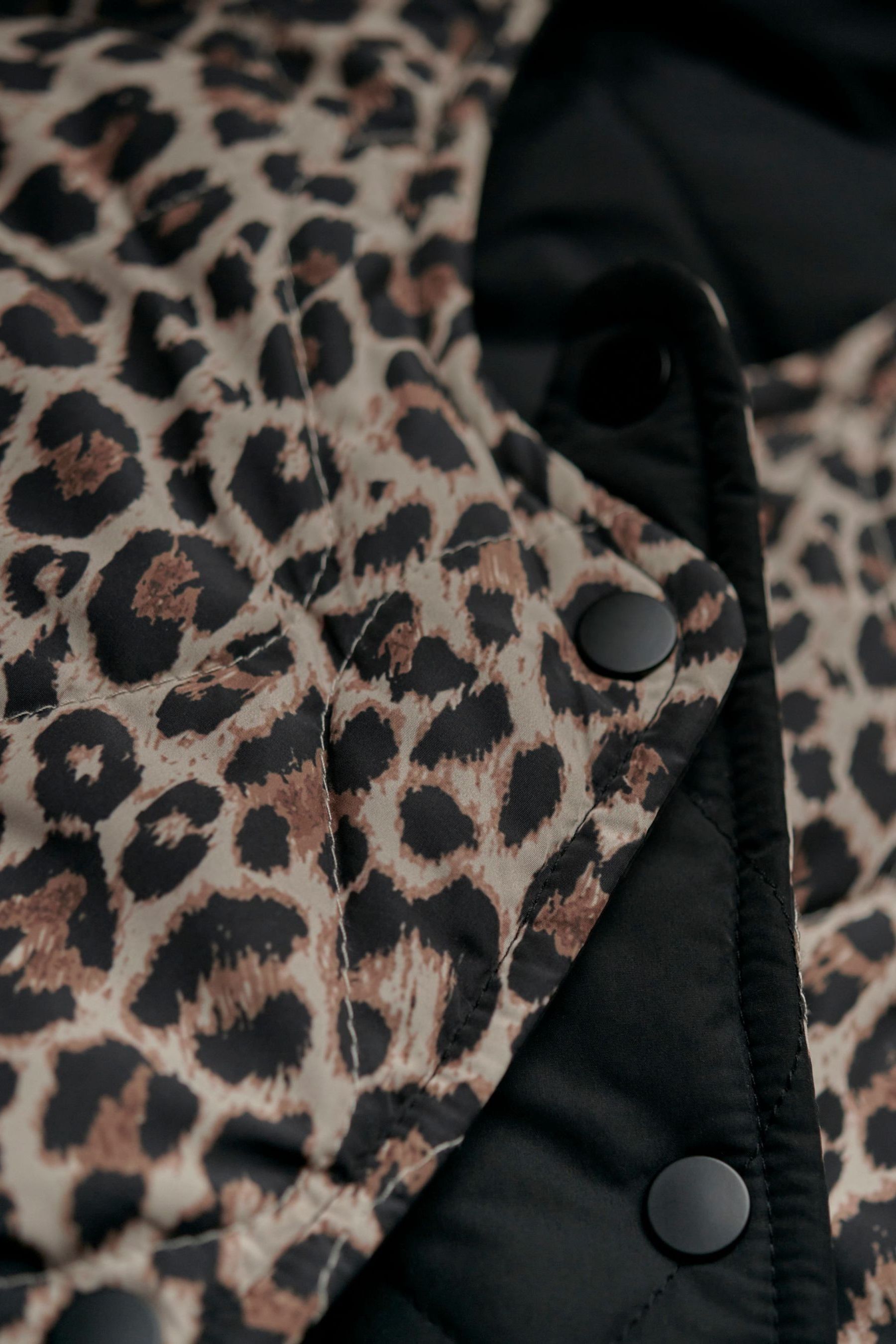 Buy Another Sunday Reversible Longline Padded Coat In Leopard Print And ...