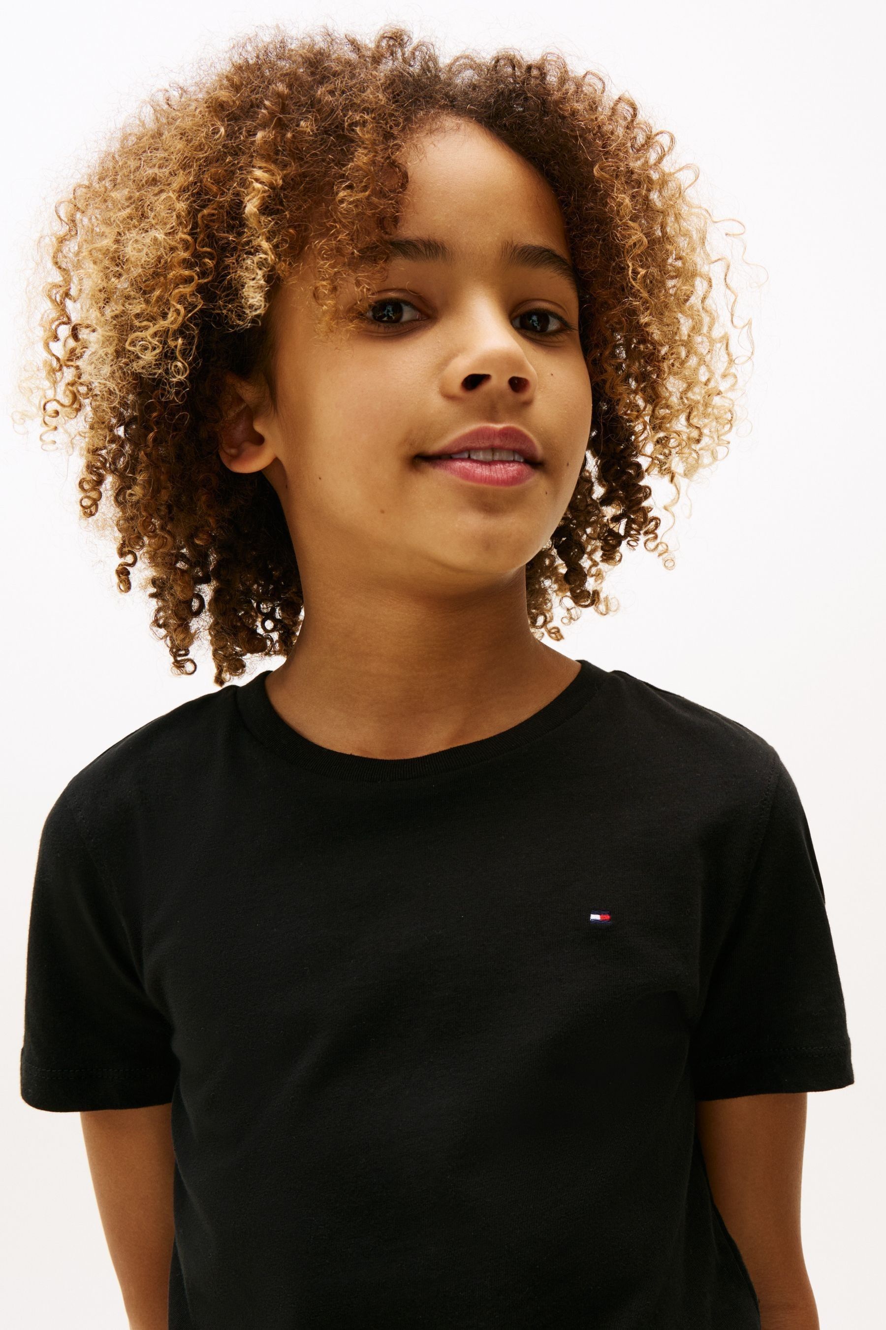 Buy Tommy Hilfiger Basic T-Shirt from Next Ireland