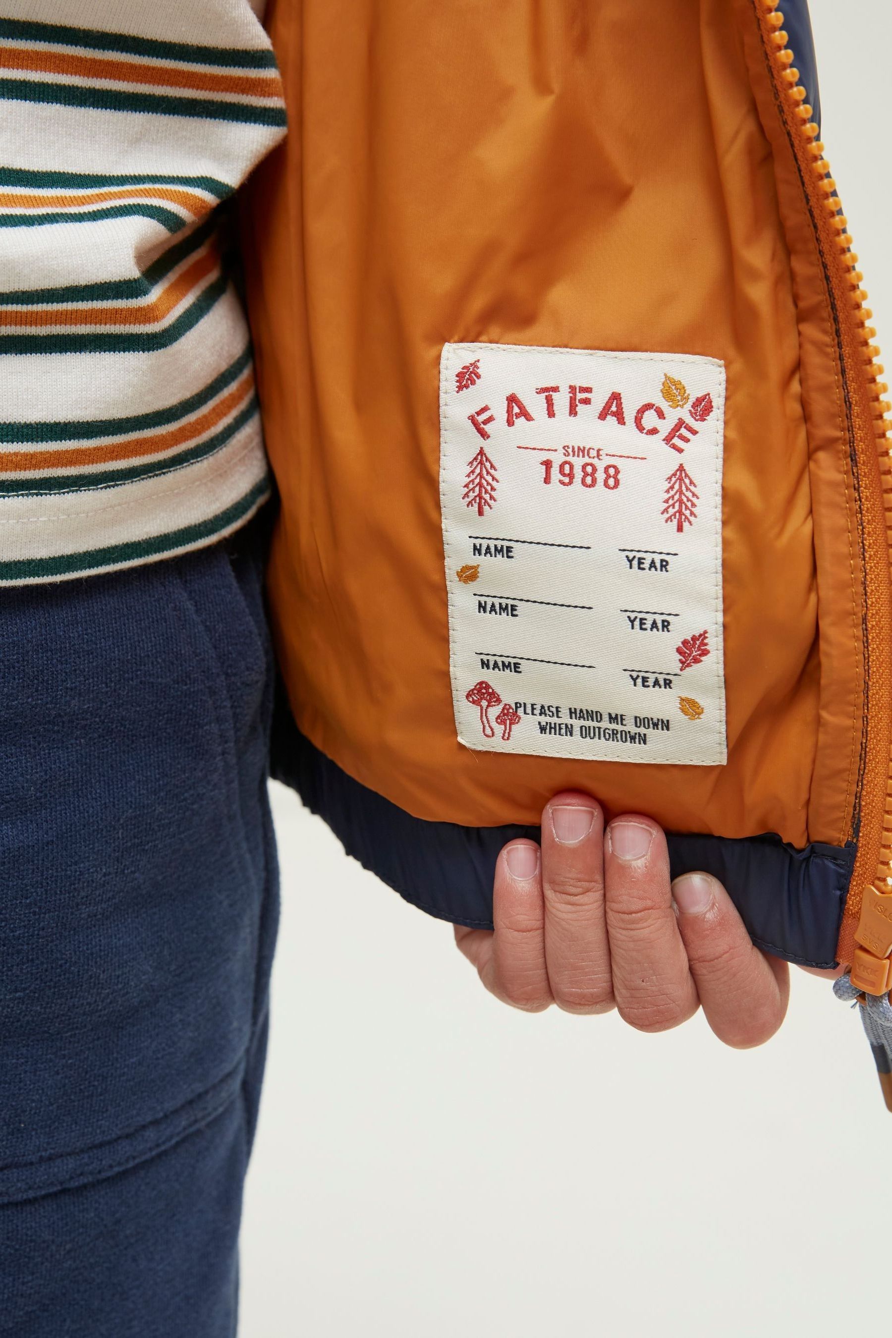 Buy FatFace Harry Padded Jacket from Next Ireland