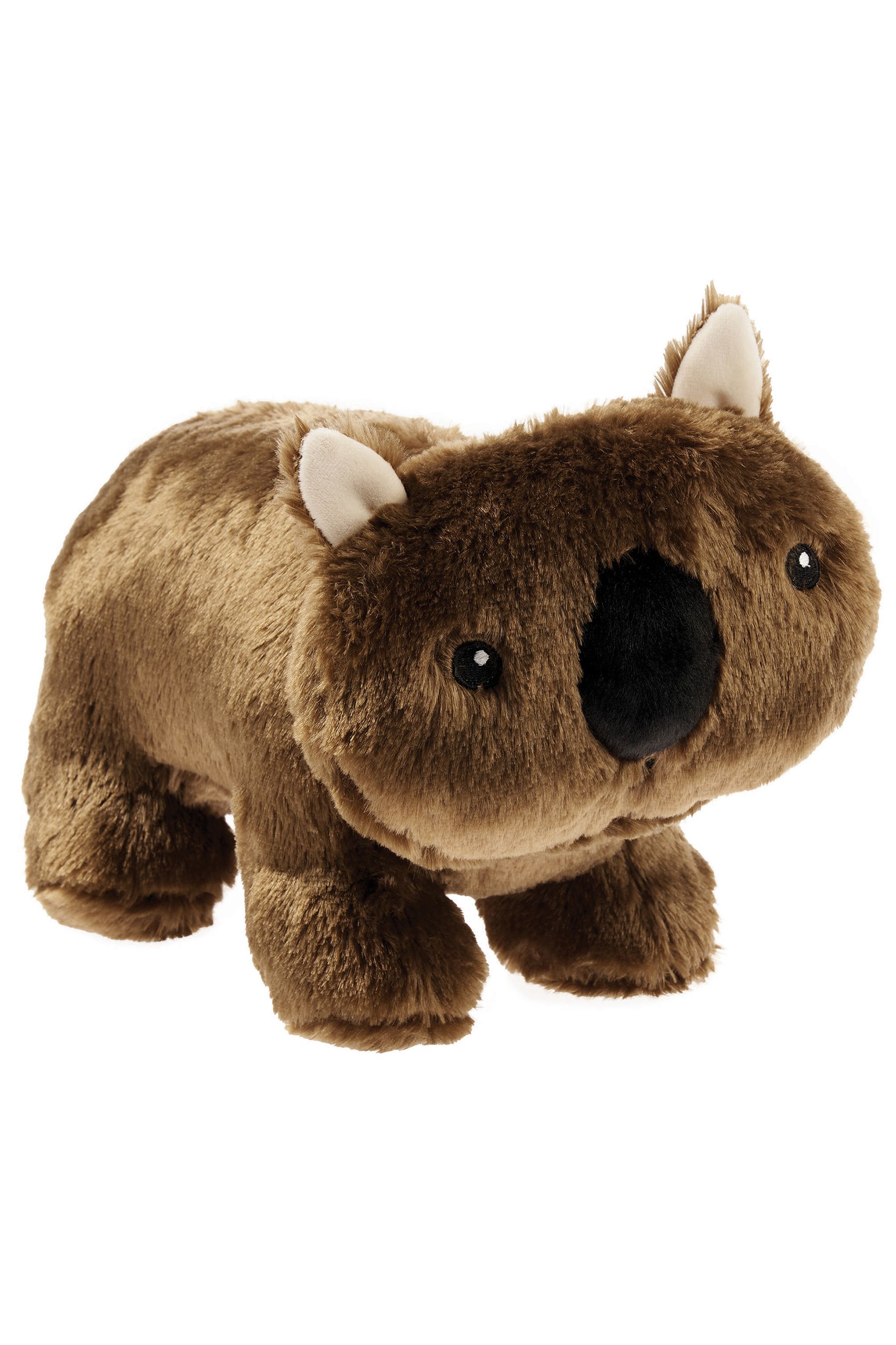 Buy Linen House Kids Multi Warren Wombat Plush Toy from the Next UK ...
