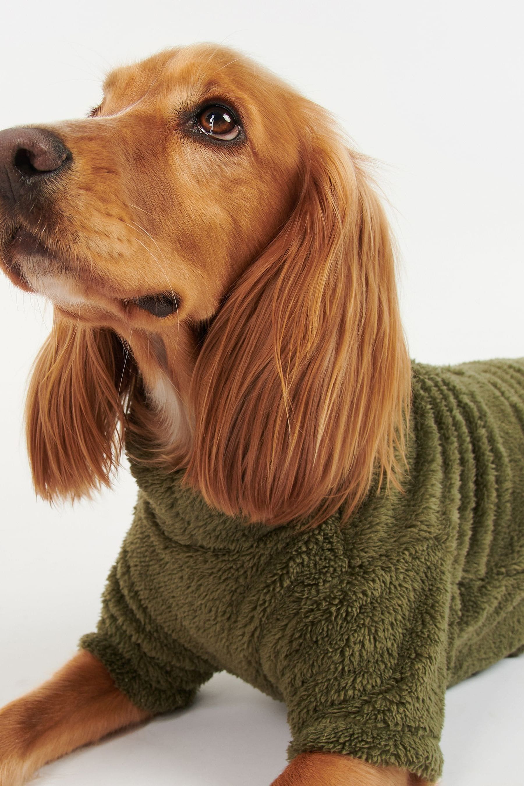 Buy Barbour® Olive Green Green Teddy Fleece Borg Dog Jumper from the ...