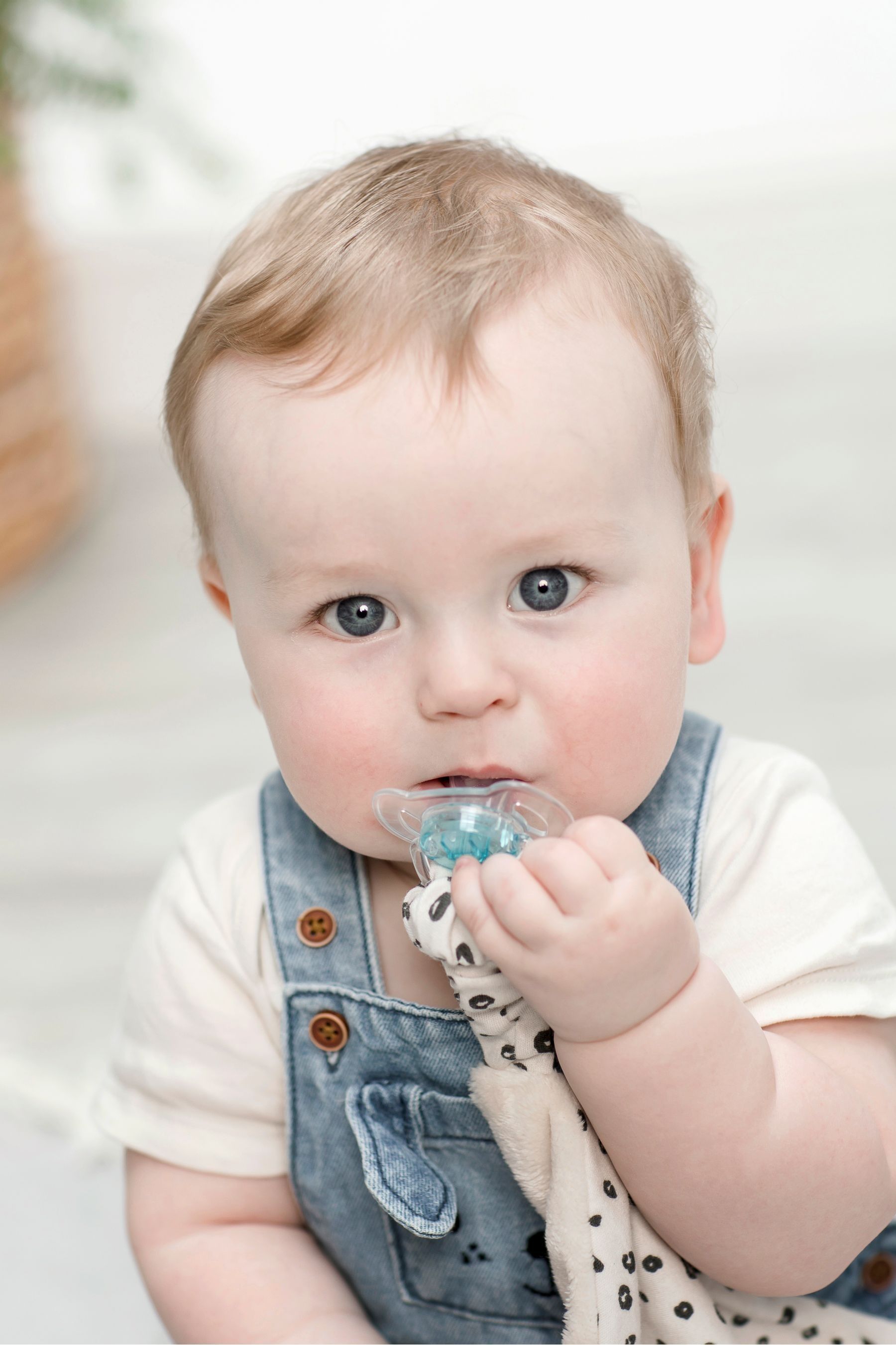 Buy Cheeky Chompers Teething Baby GIft Chew Pack from the Next UK ...