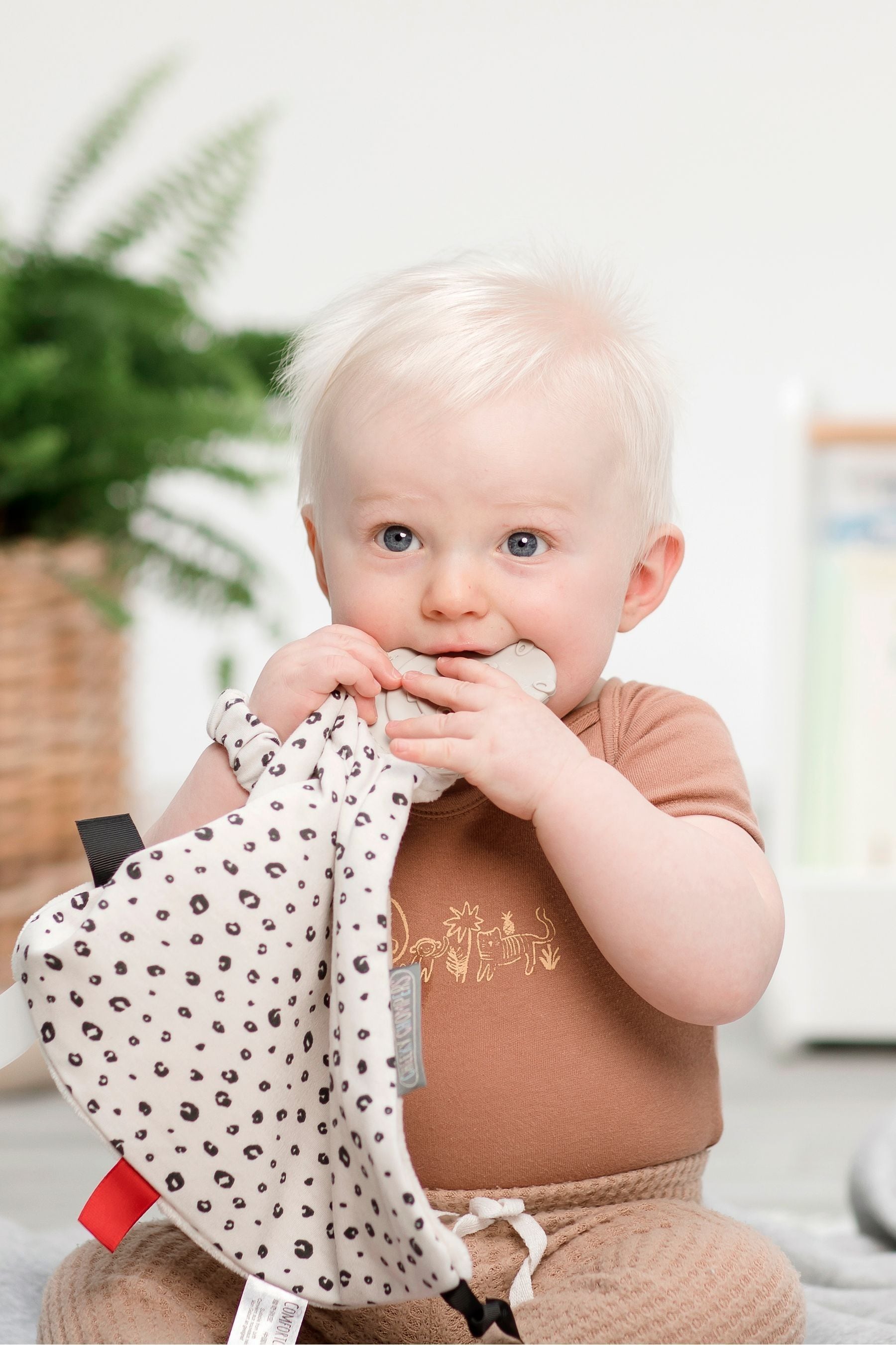Buy Cheeky Chompers Teething Baby GIft Chew Pack from the Next UK ...