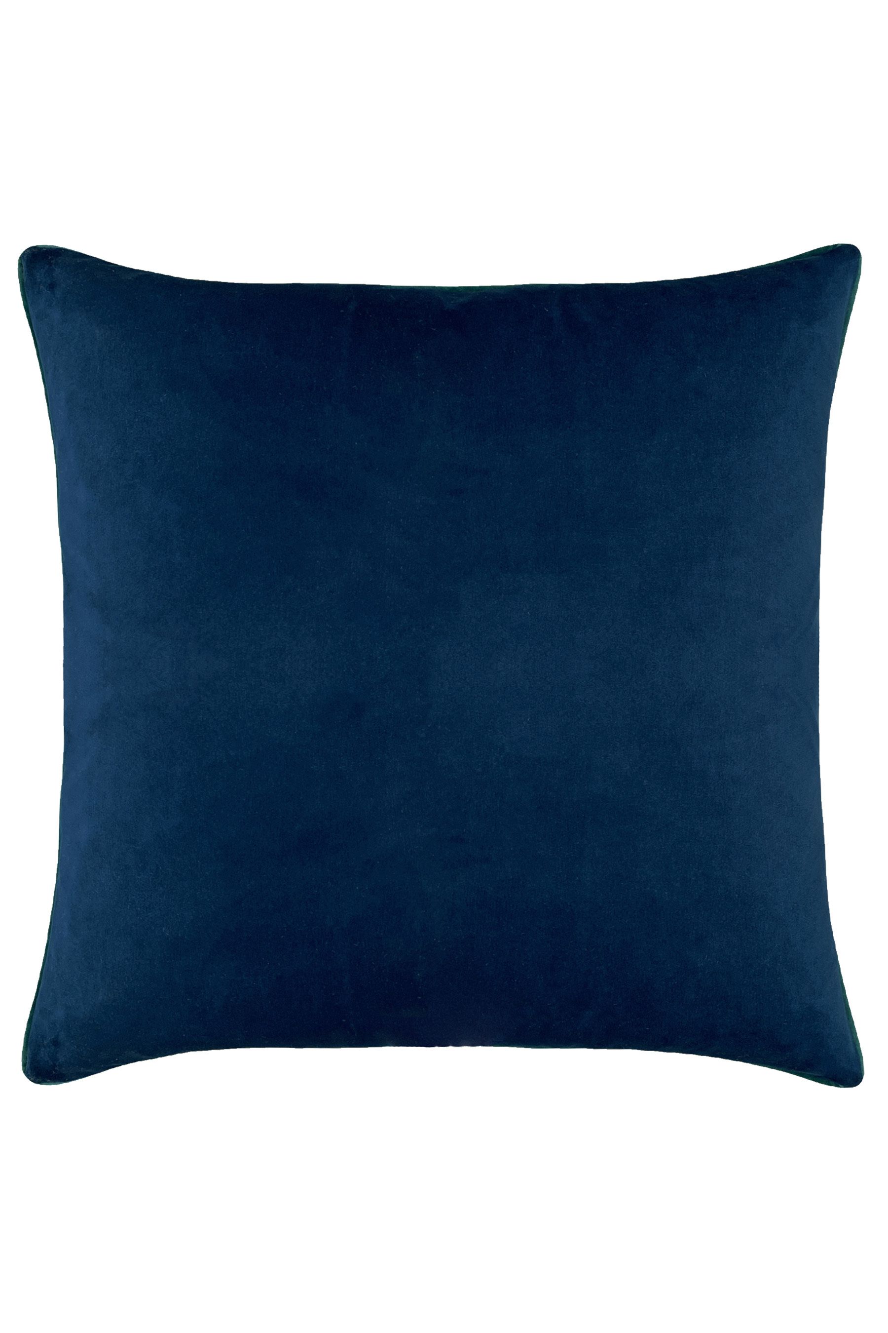 Buy Riva Paoletti Multicolour Kala Zebra Printed Velvet Cushion from ...