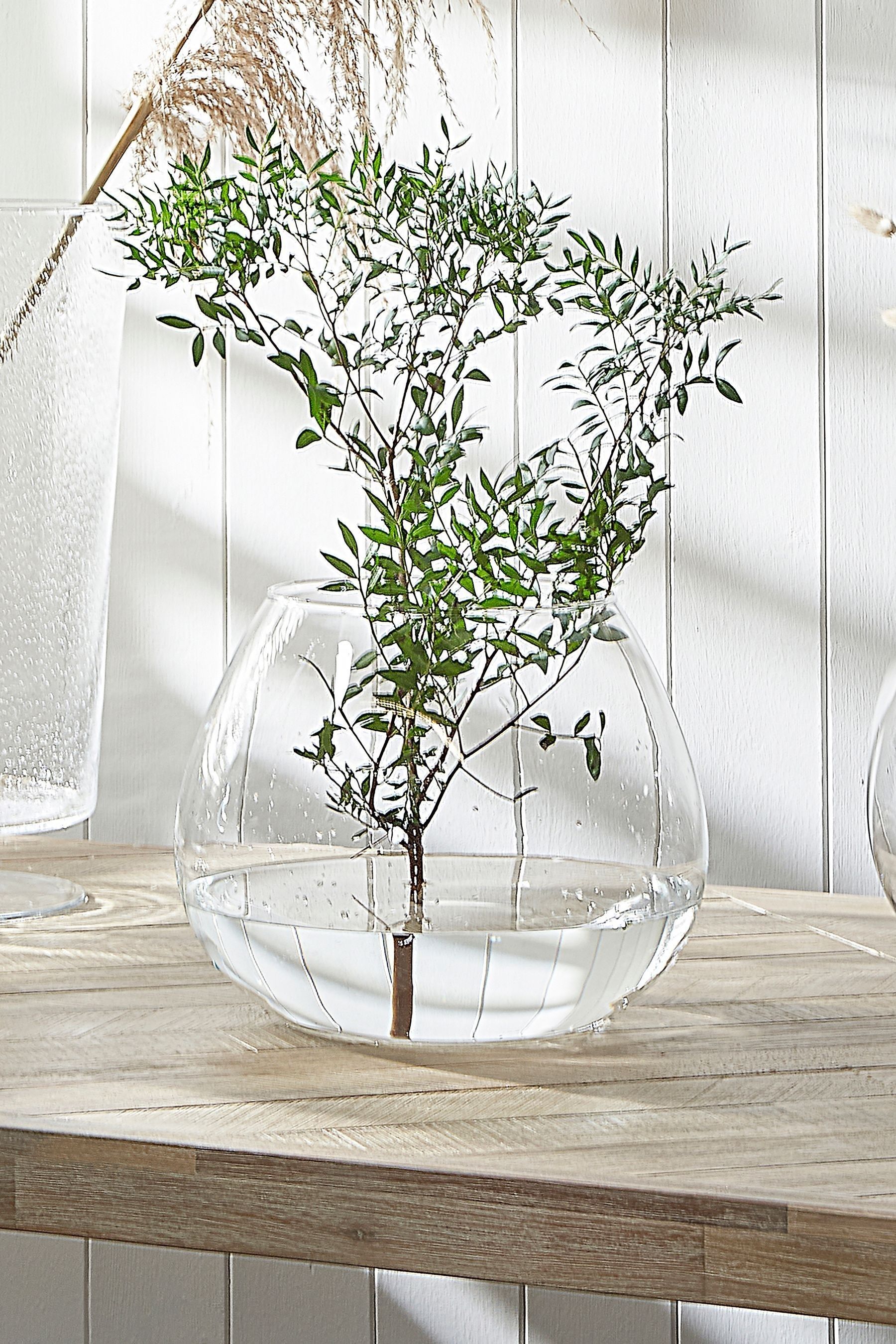 Buy Pacific Clear Glass Roza Small Vase from the Next UK online shop