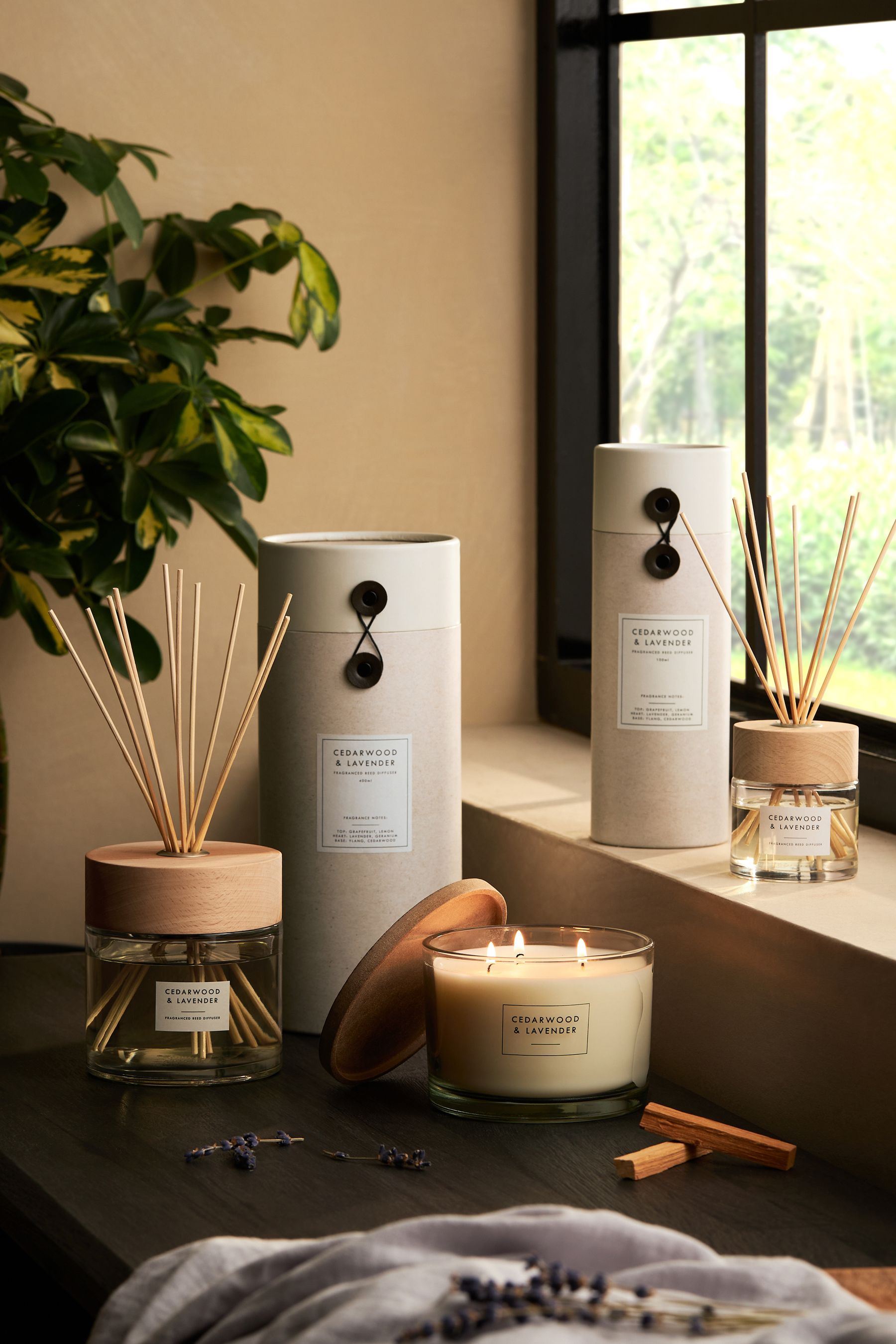 Buy Natural Bronx Cedarwood and Lavender 3 Wick 3 Wick Scented Candle ...