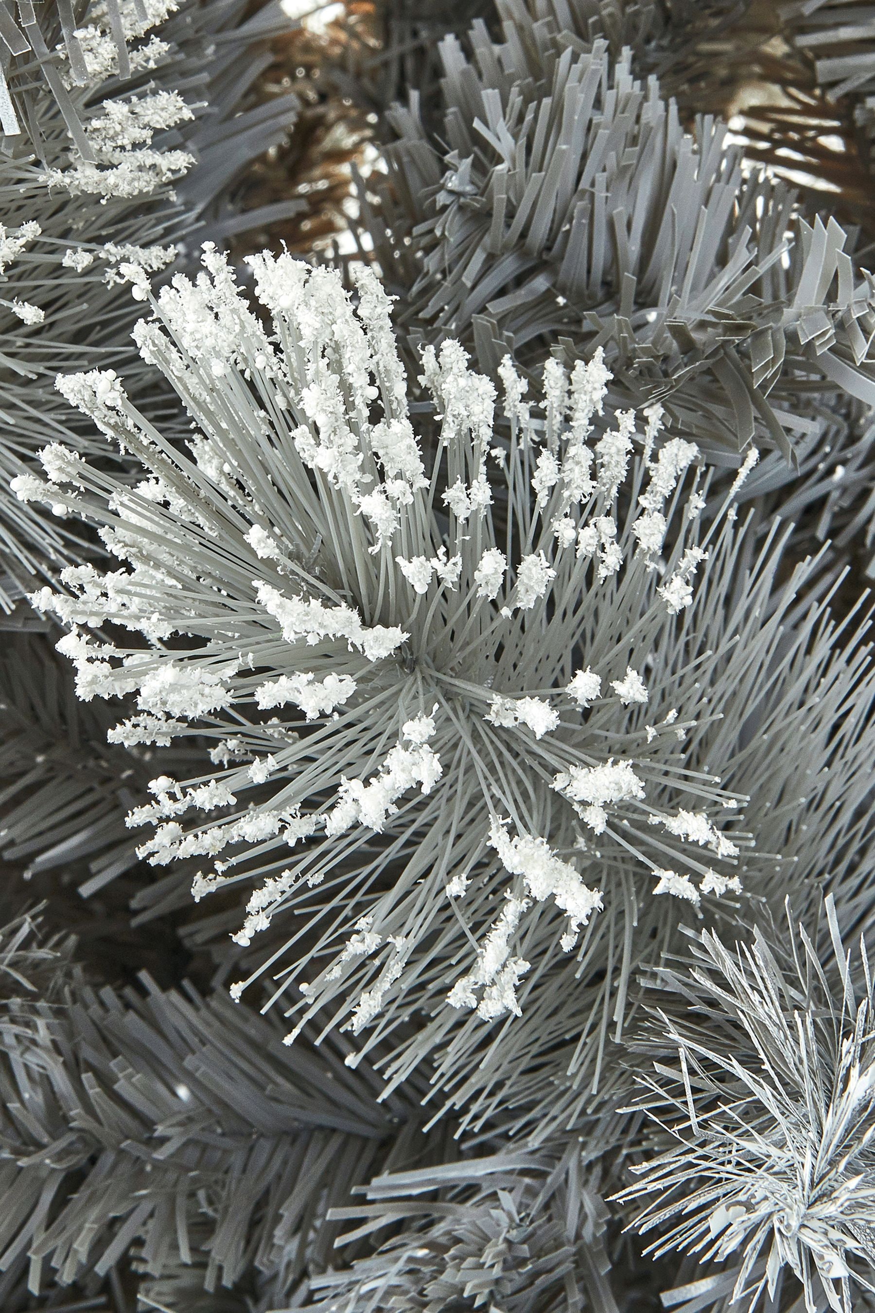 Buy Premier Decorations Ltd 7ft Snow Tipped Fir Grey Christmas Tree ...