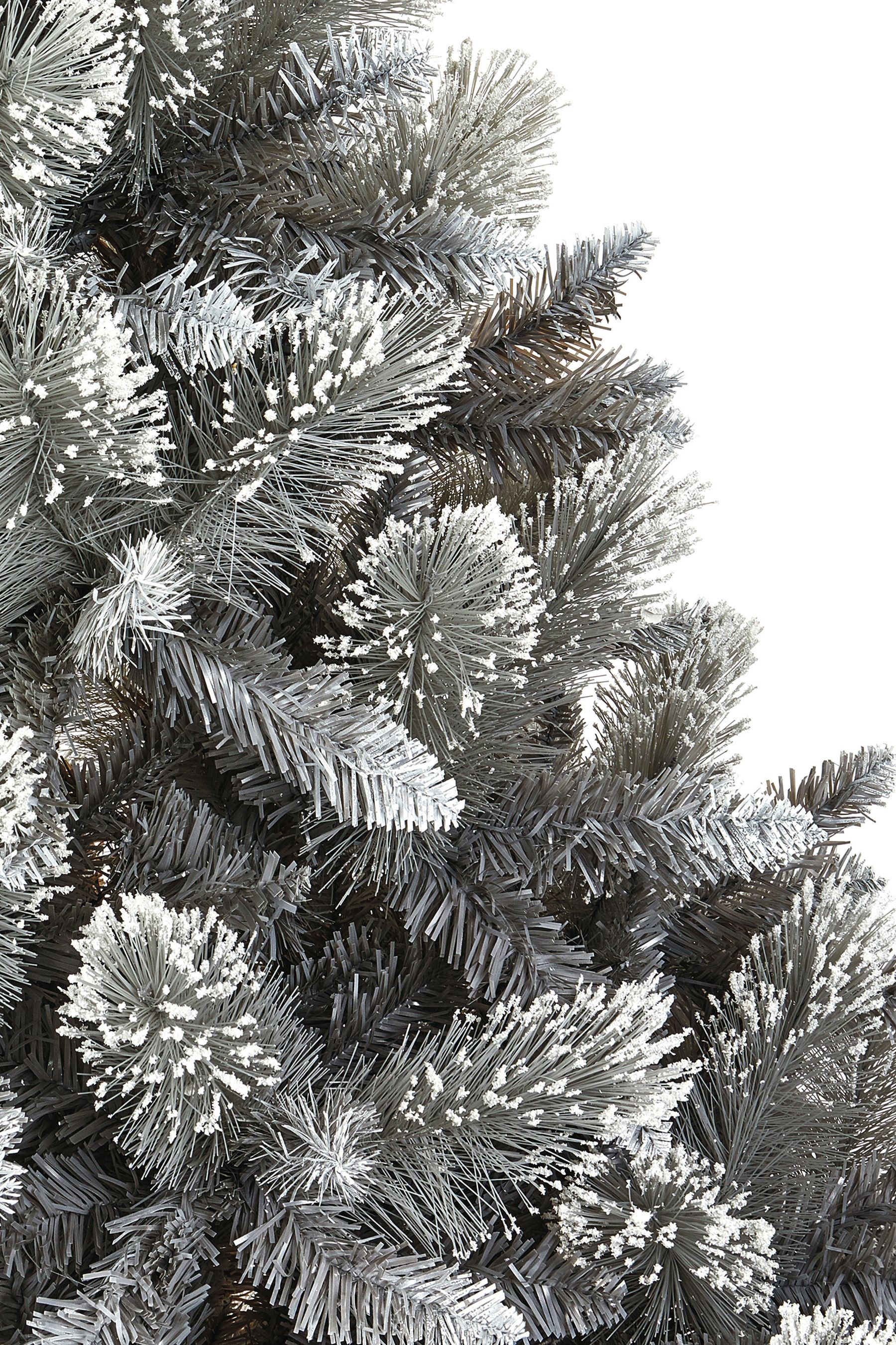 Buy Premier Decorations Ltd 7ft Snow Tipped Fir Grey Christmas Tree ...