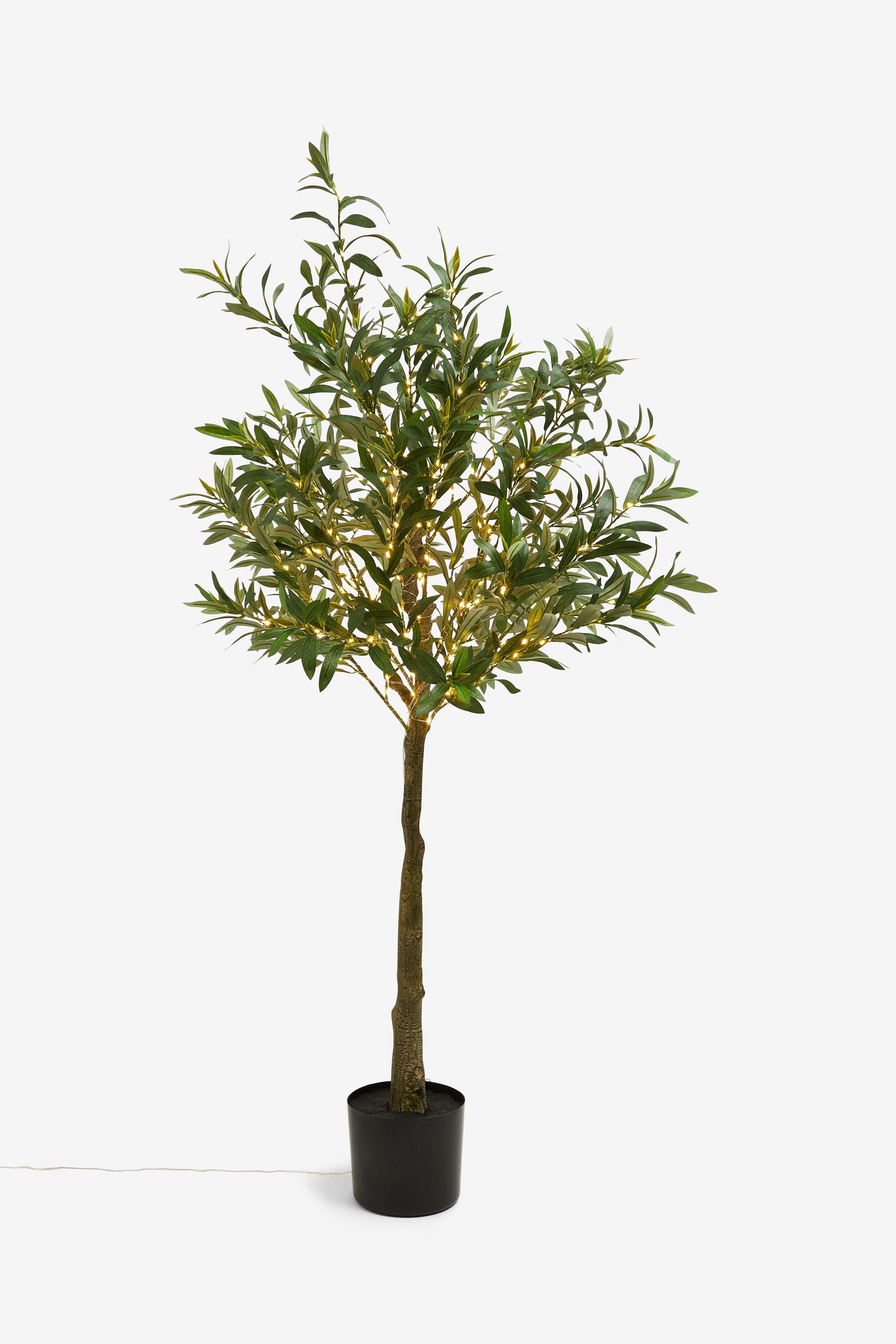 Buy Green Artificial Light Up Olive Tree from the Next UK online shop