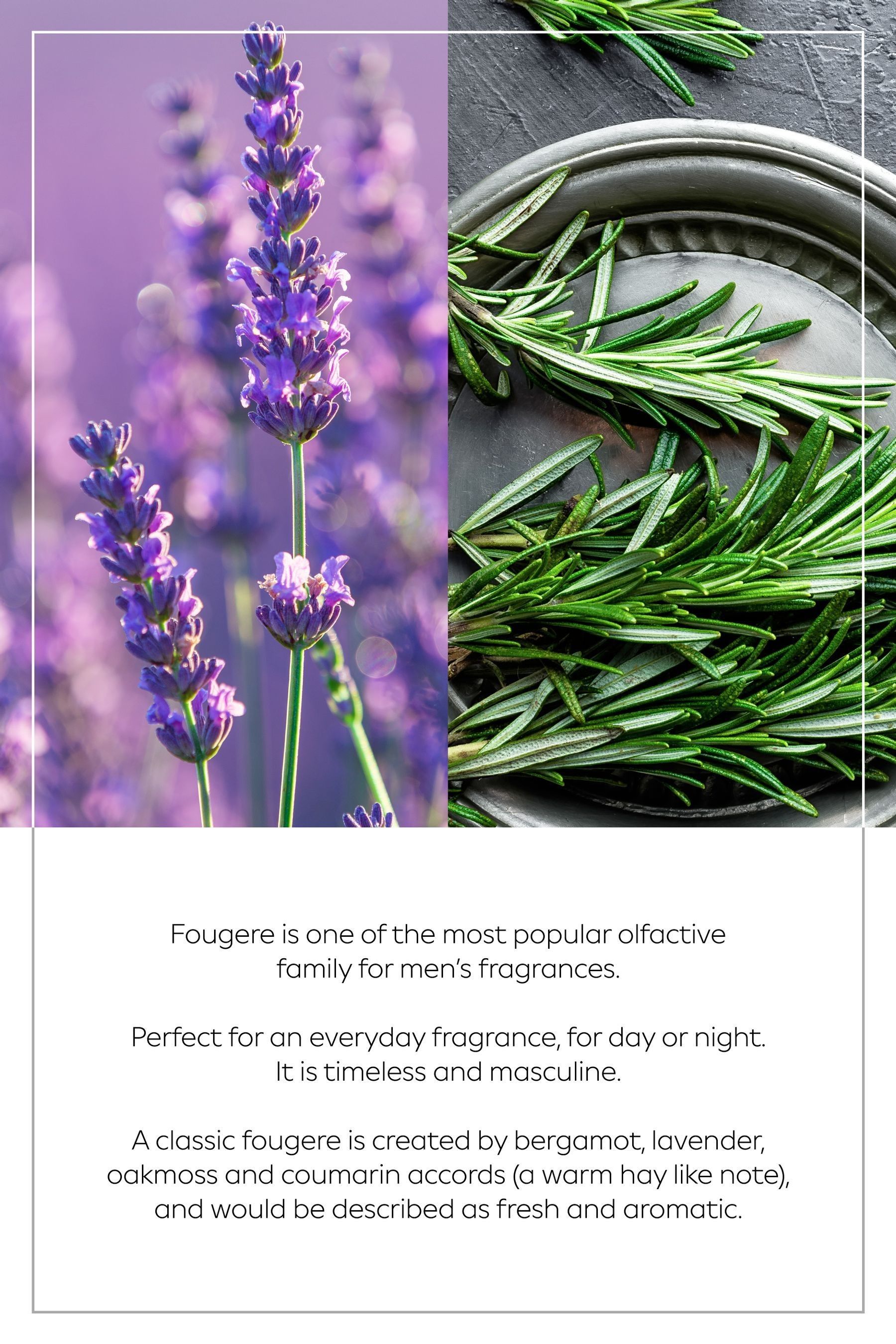 Buy Code 30ml Eau De Parfum from the Next UK online shop