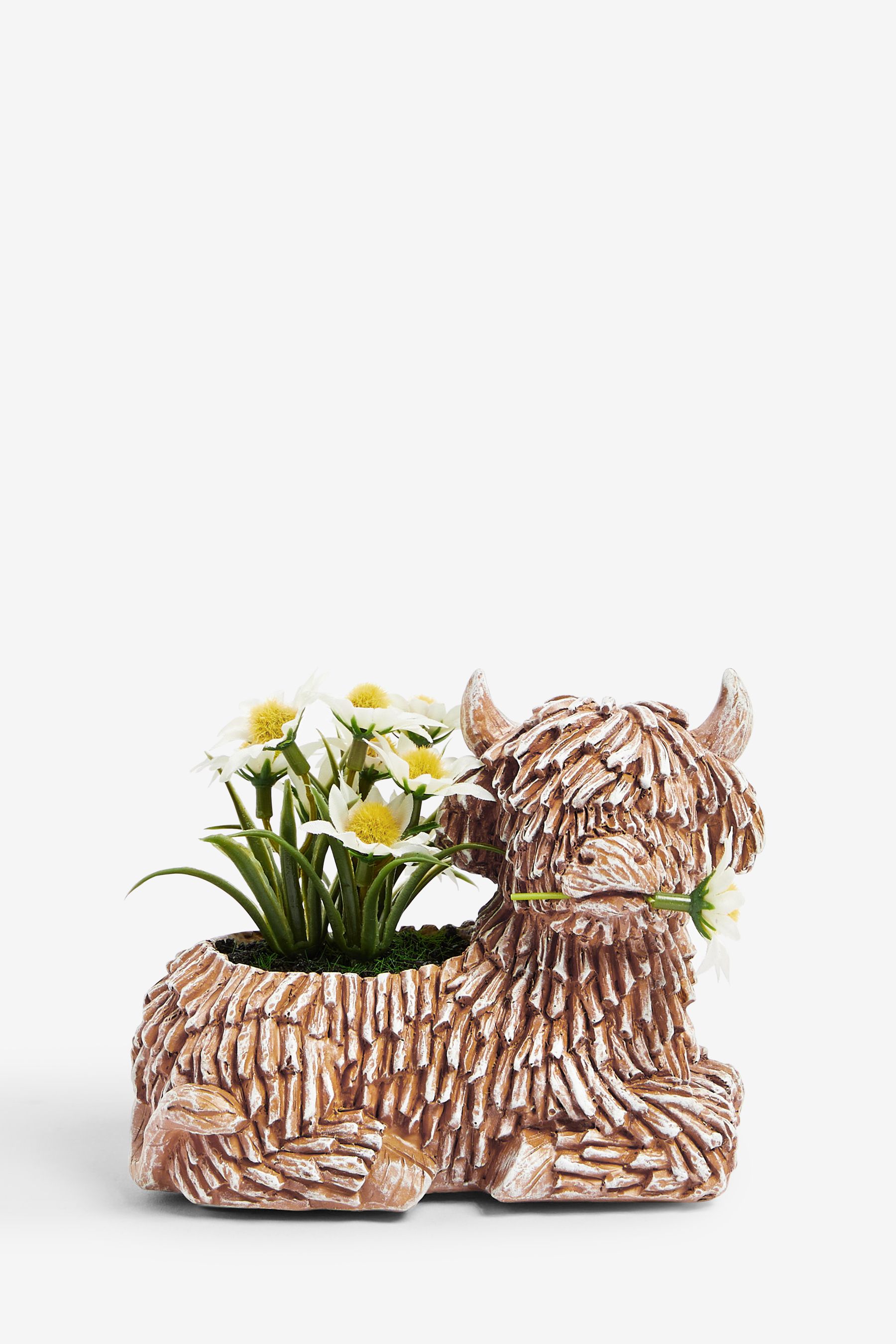 Buy Green Hamish the Highland Cow with Artificial Daisies from the Next ...