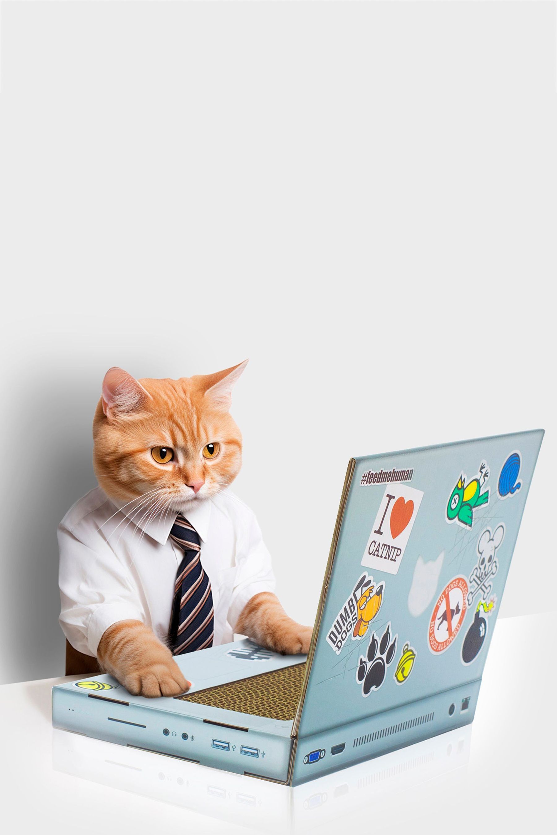 Buy Suck UK Grey Cat Scratch Laptop Pet Toy from the Next UK online shop
