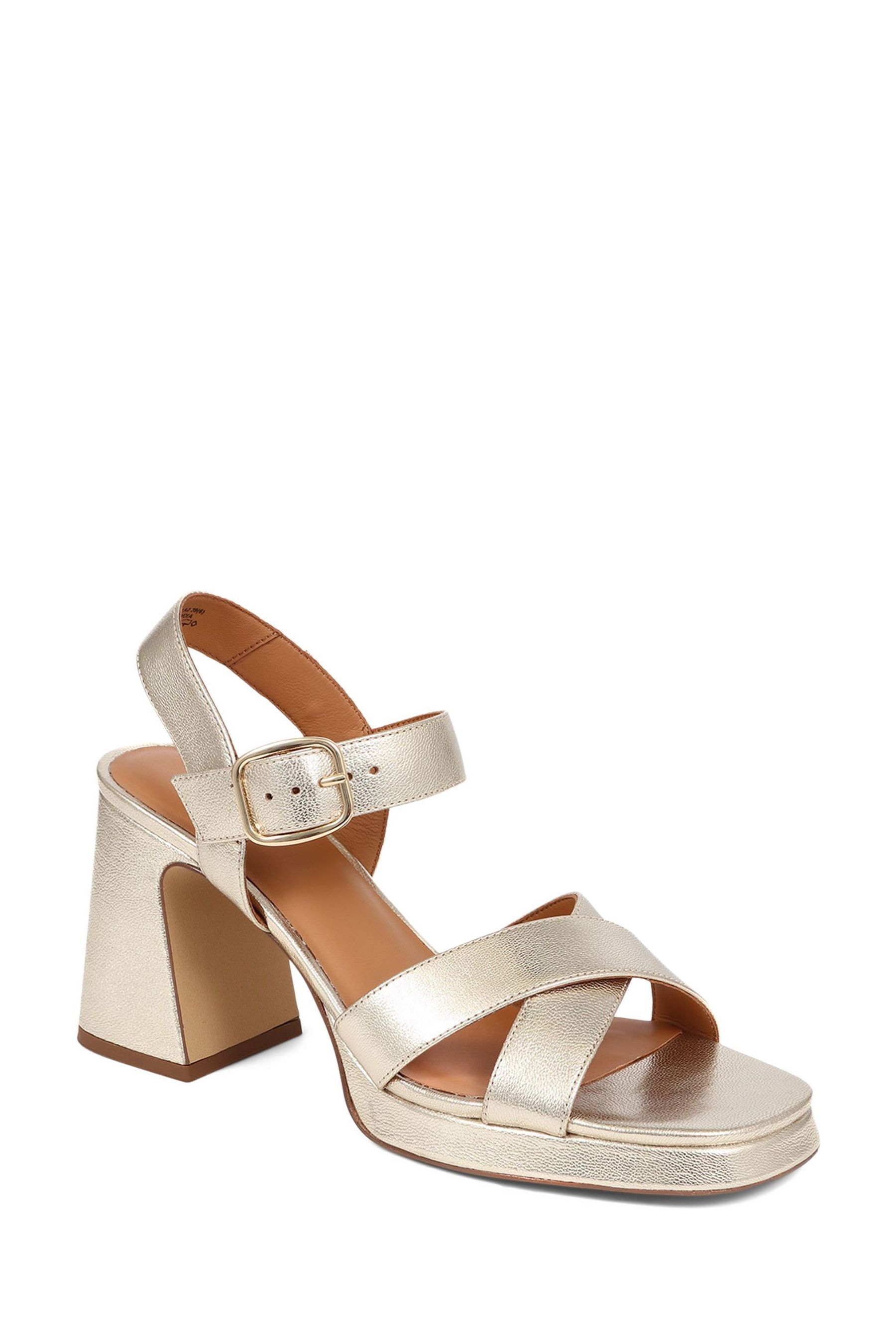 Buy Jones Bootmaker Gladiola 2 Leather Platform Sandals from the Next ...