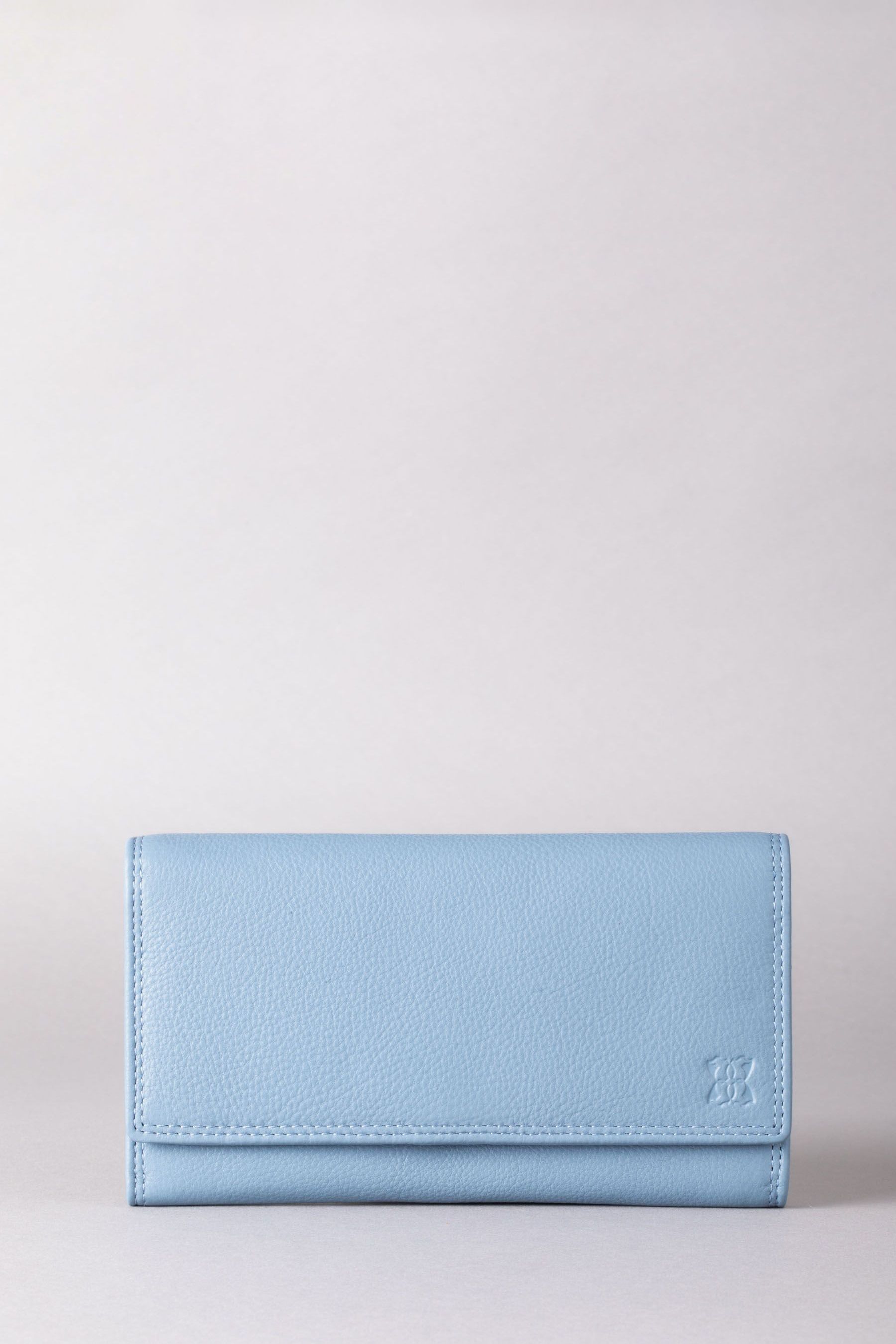 Buy Lakeland Leather Sky Blue Large Leather Purse from the Next UK ...