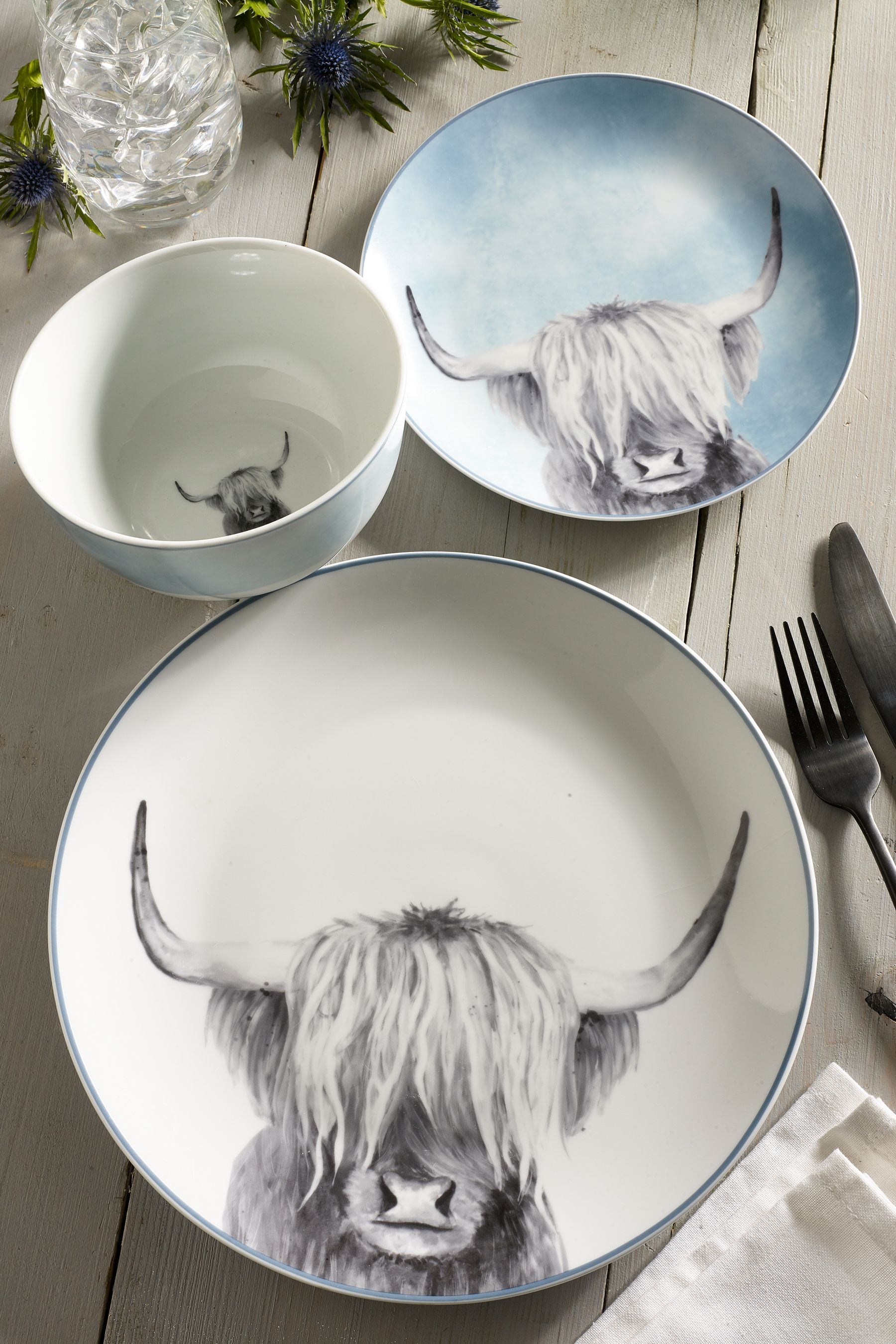 Buy Teal Blue Hamish The Highland Cow 12 Piece Dinner Set from Next USA