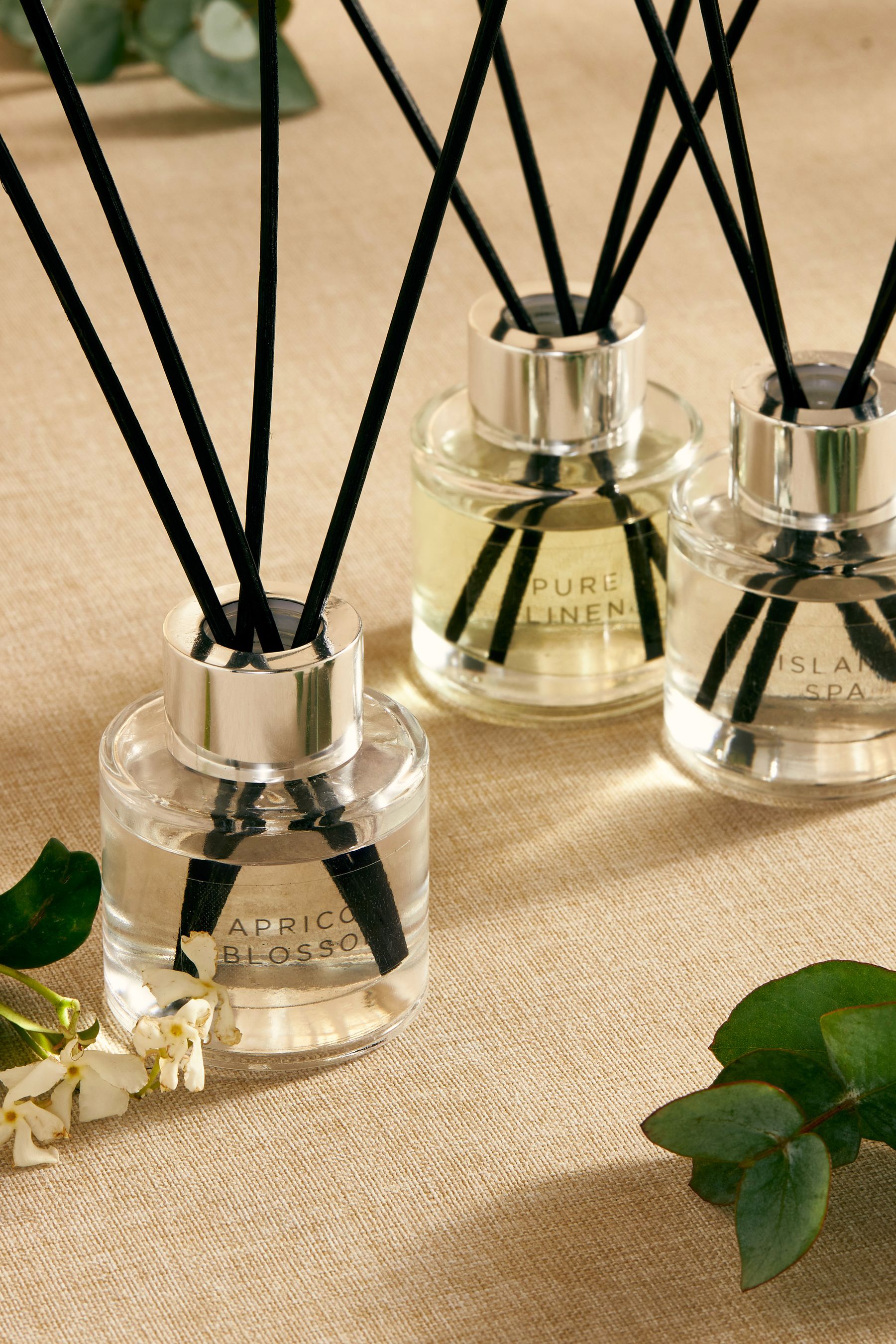 Buy Apricot Blossom Set Of Fragranced Reed Diffuser from the Next UK ...