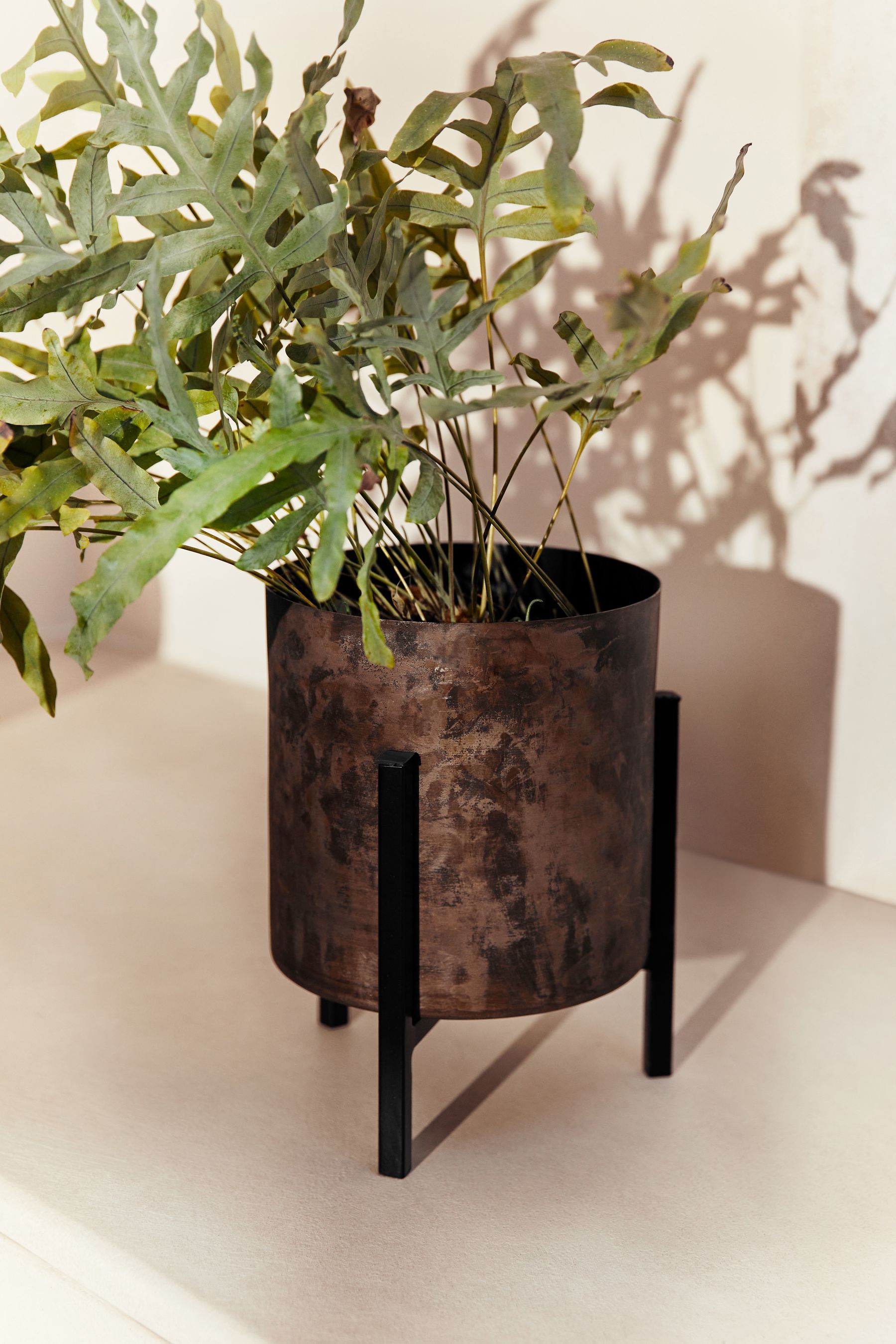 Buy French Connection Black/Bronze Patina Metal Stand Plant Pot from ...
