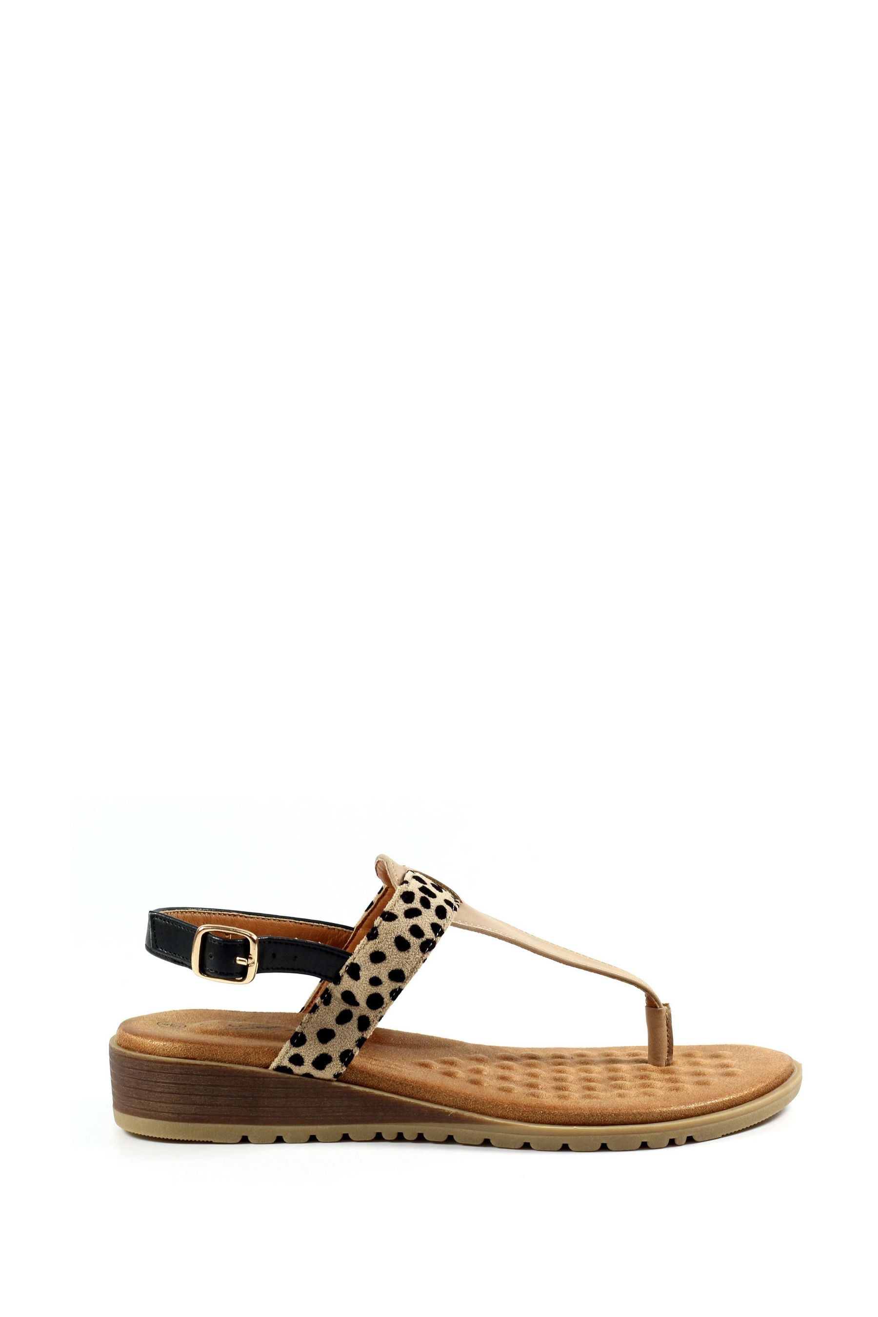 Buy Lunar Gina Toe Post Sandals from the Next UK online shop