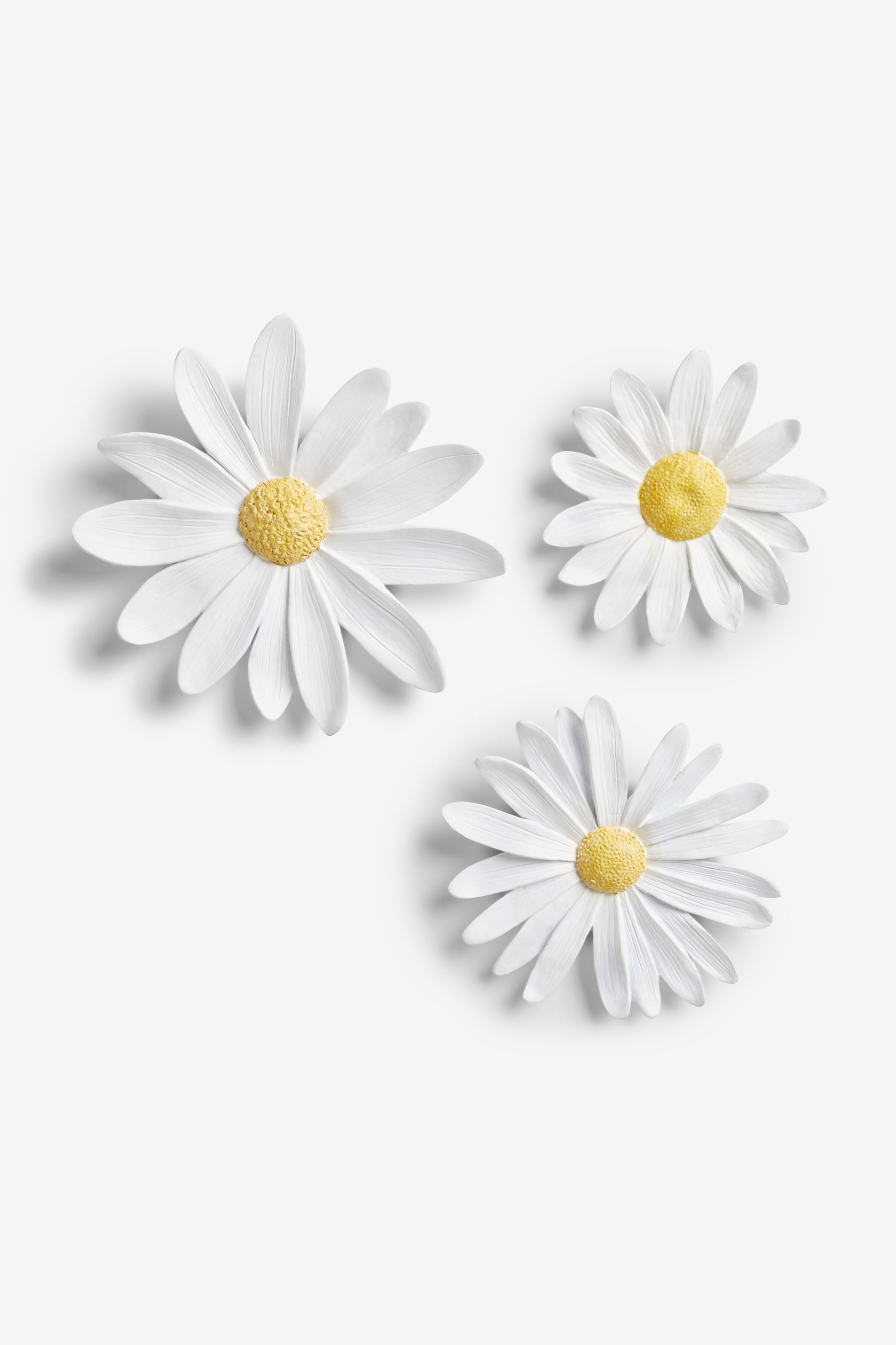 Buy Set of 3 White Daisy Flower Wall Art from the Next UK online shop