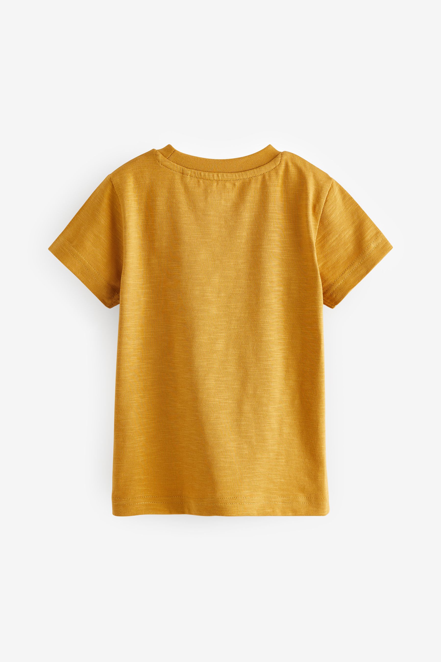 Buy Short Sleeve T-Shirt Set 4 Pack (3mths-7yrs) from Next Australia