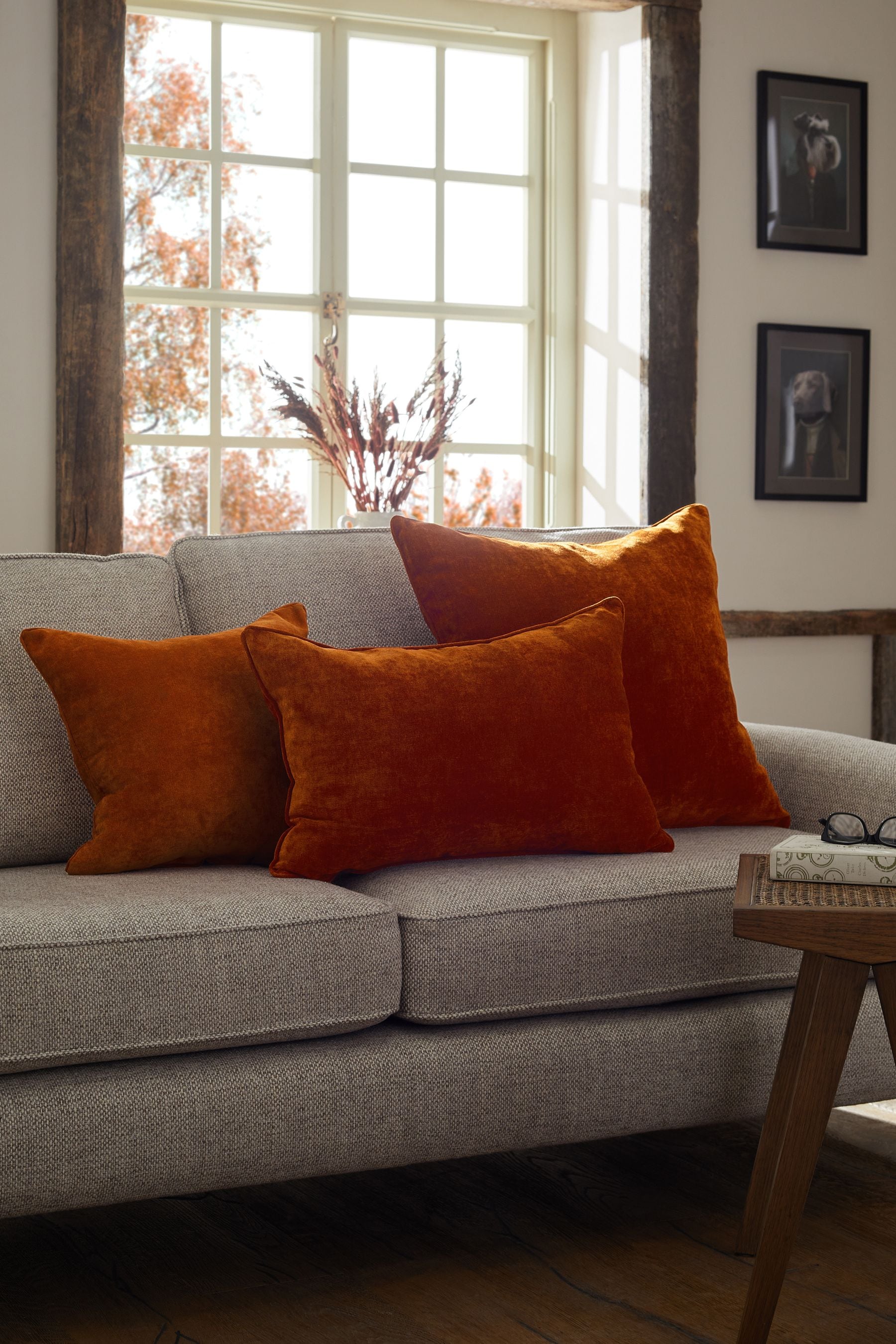 Buy Burnt Orange 40 x 59cm Soft Velour Cushion from Next Saudi Arabia