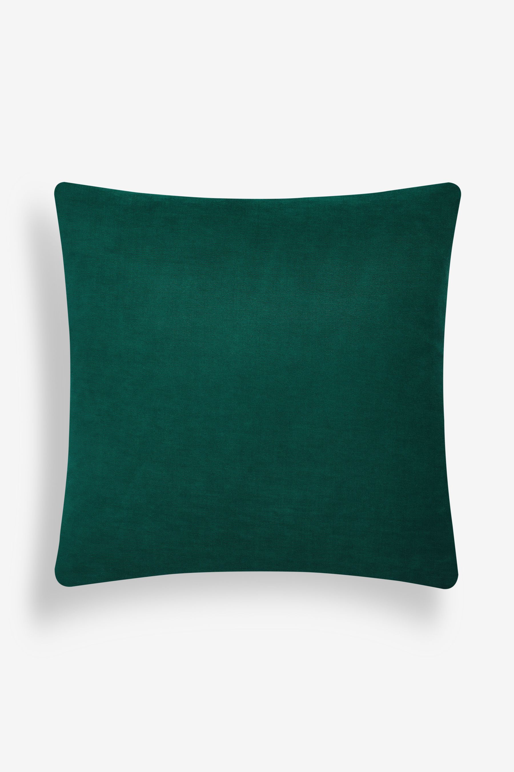 Buy Bright Green 50 x 50cm Safari Floral Velvet Cushion from the Next ...