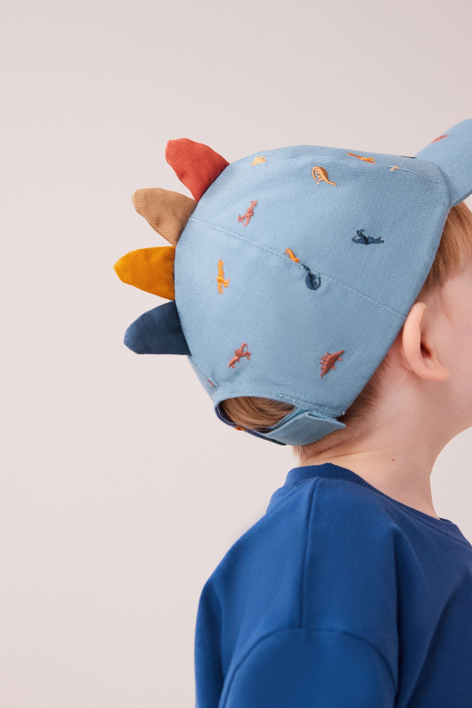 Buy Blue Embroidered Dinosaurs Baseball Cap (3mths-10yrs) from the Next ...